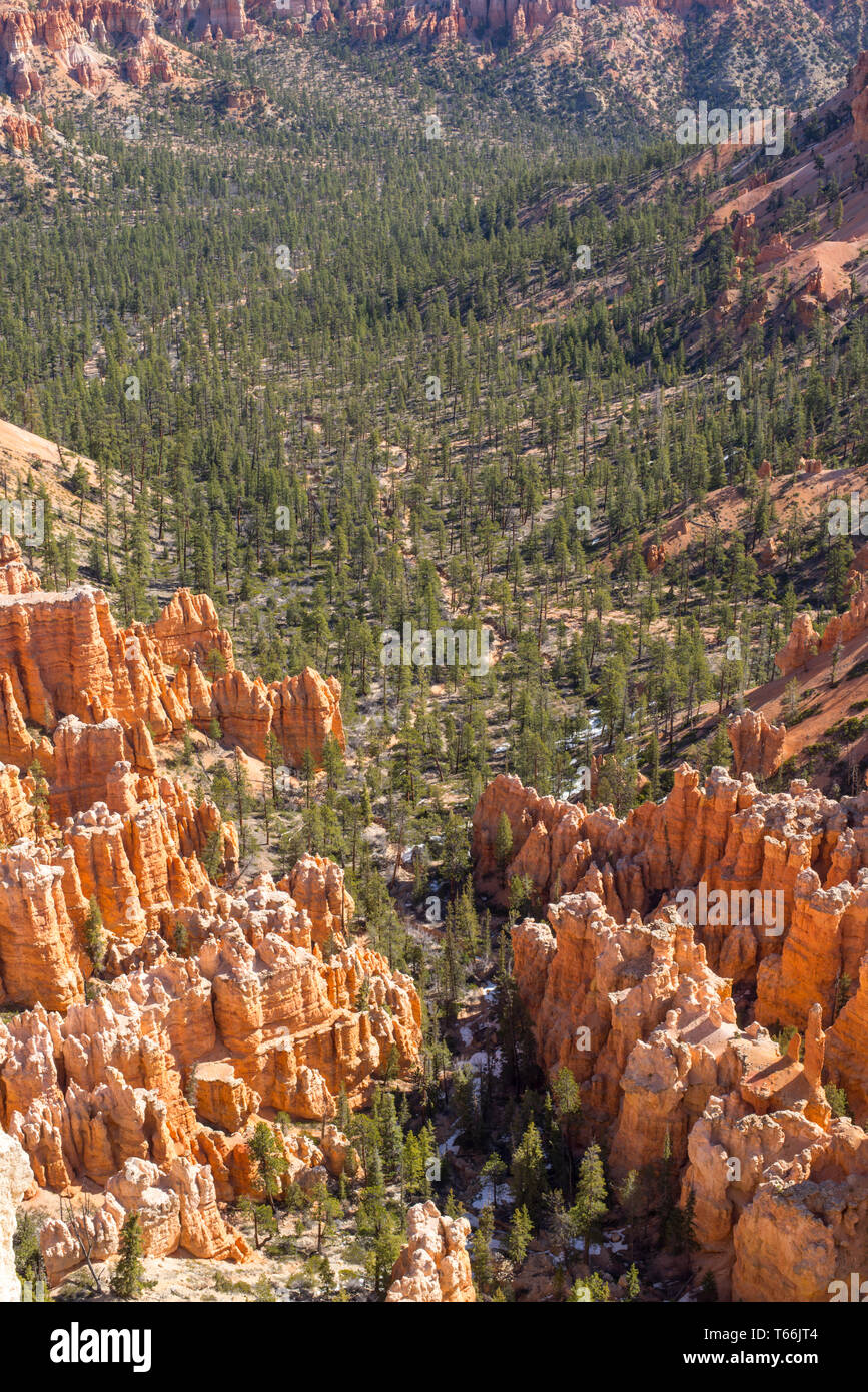 Nature landscape viewed from Bryce Point. Bryce Canyon National Park ...