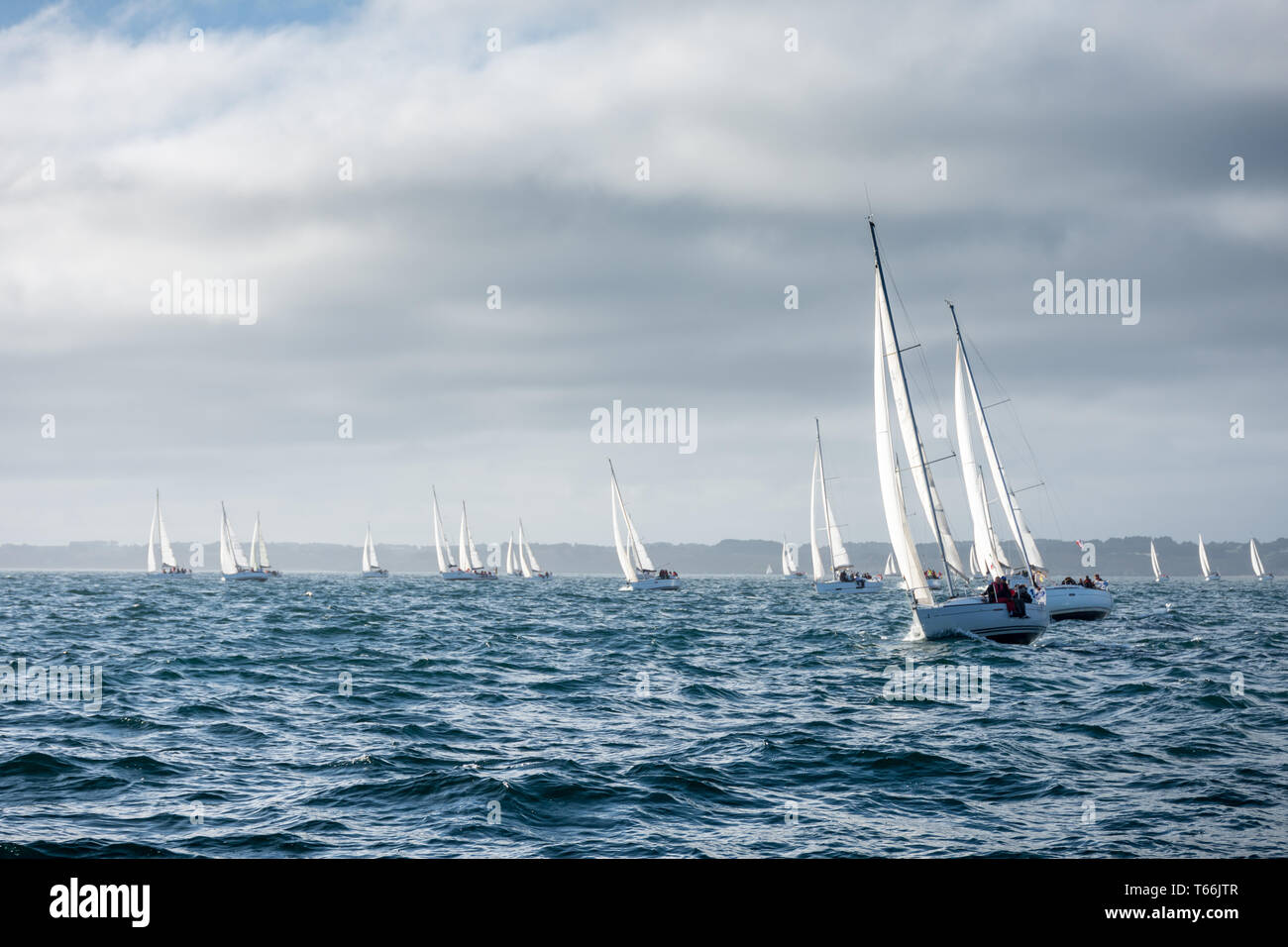 Ariane's Cup 2 Stock Photo - Alamy