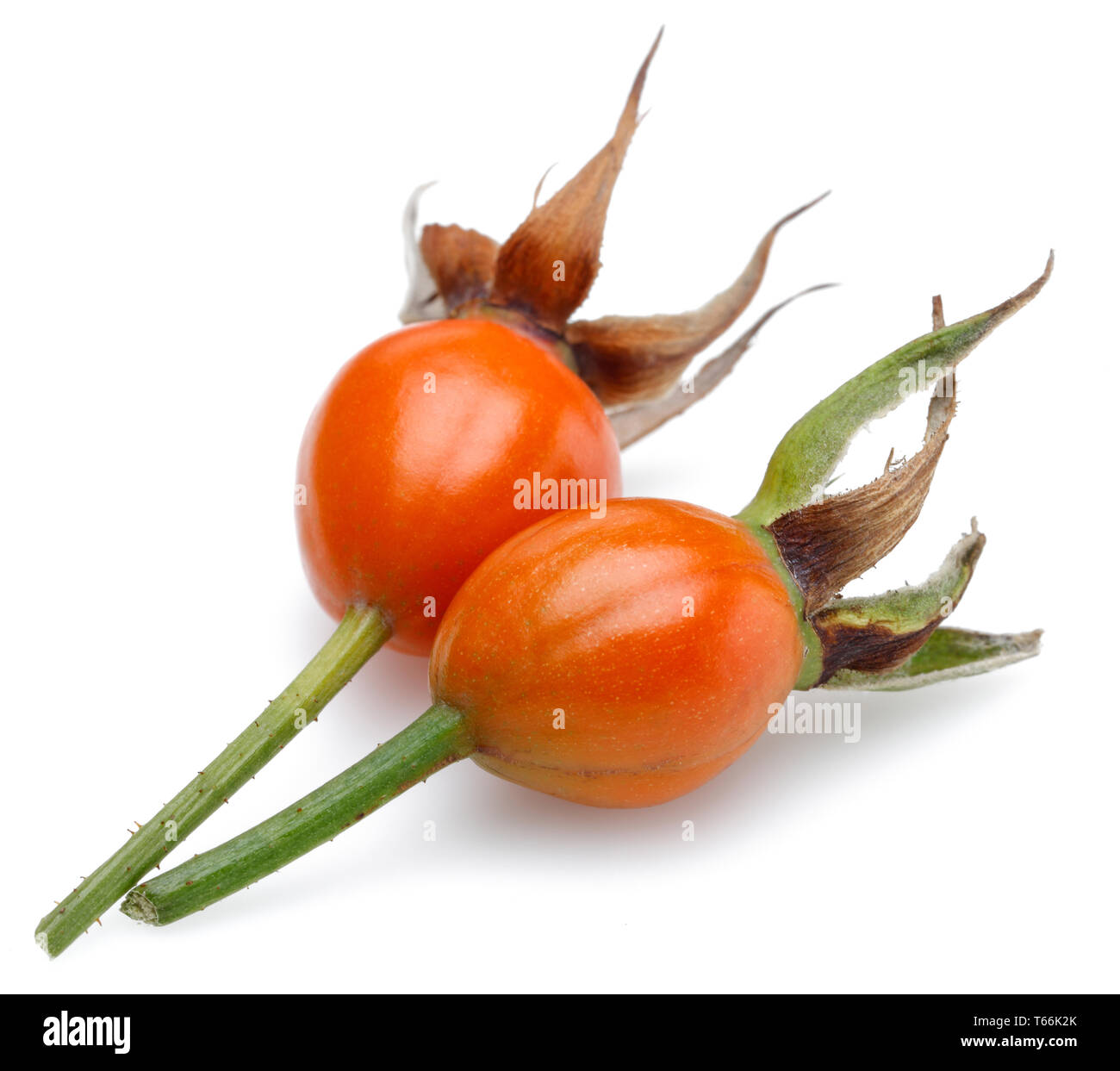 Fresh rose hip isolated on white background Stock Photo - Alamy