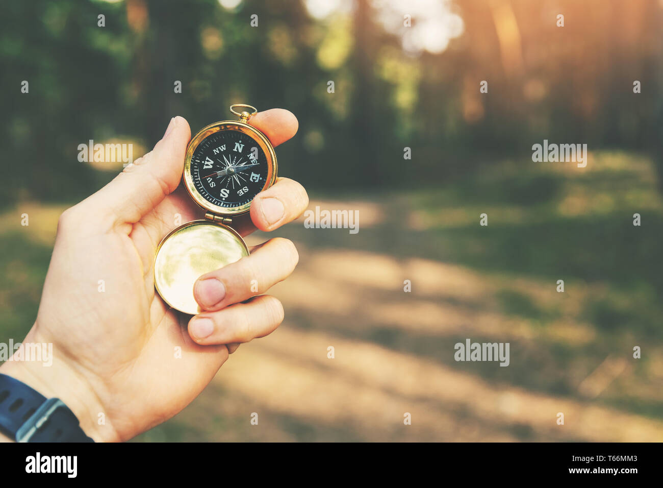 orienteering in the woods compass in the hand Stock Photo - Alamy