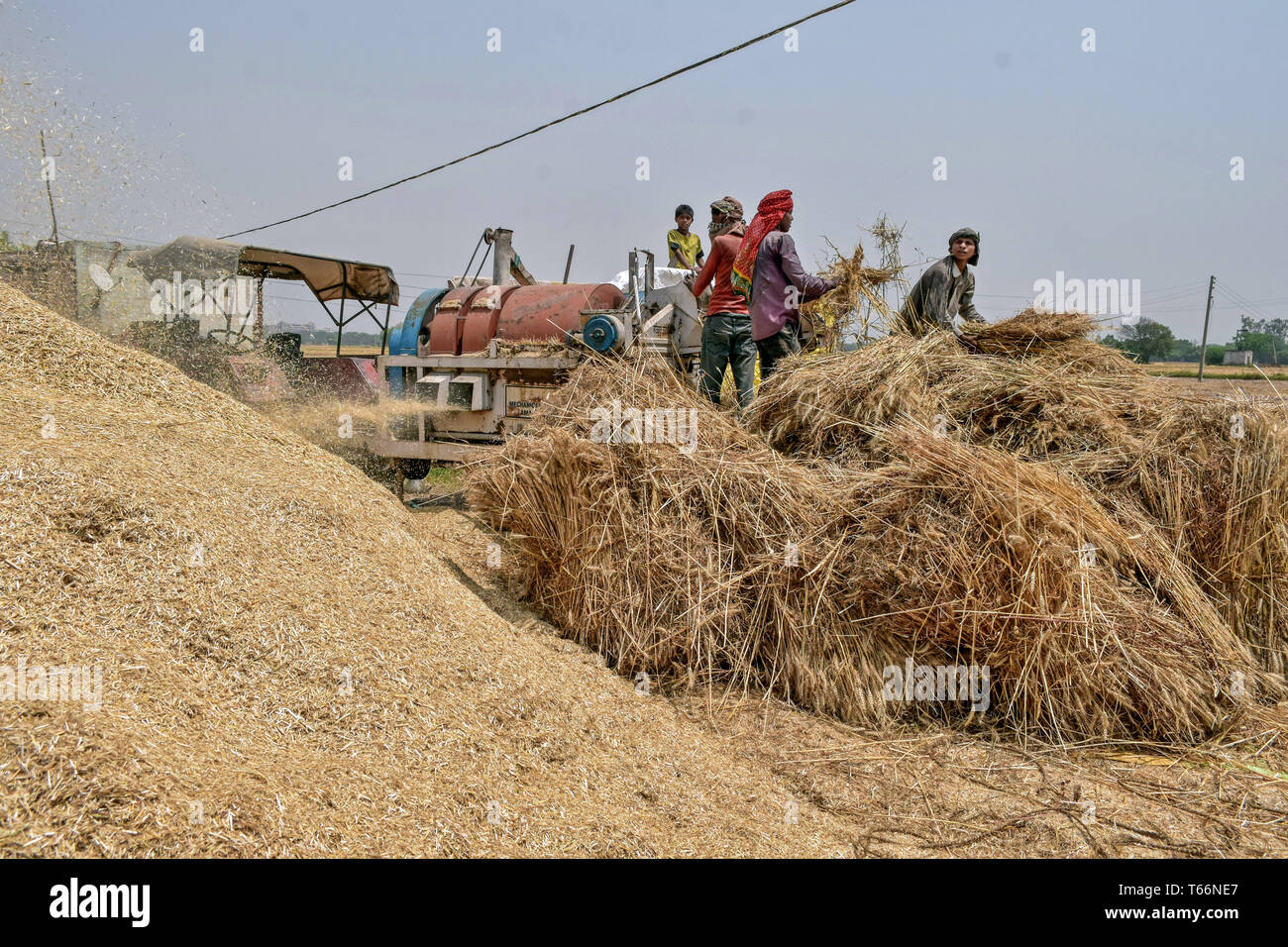 Grains in husks hi-res stock photography and images - Alamy