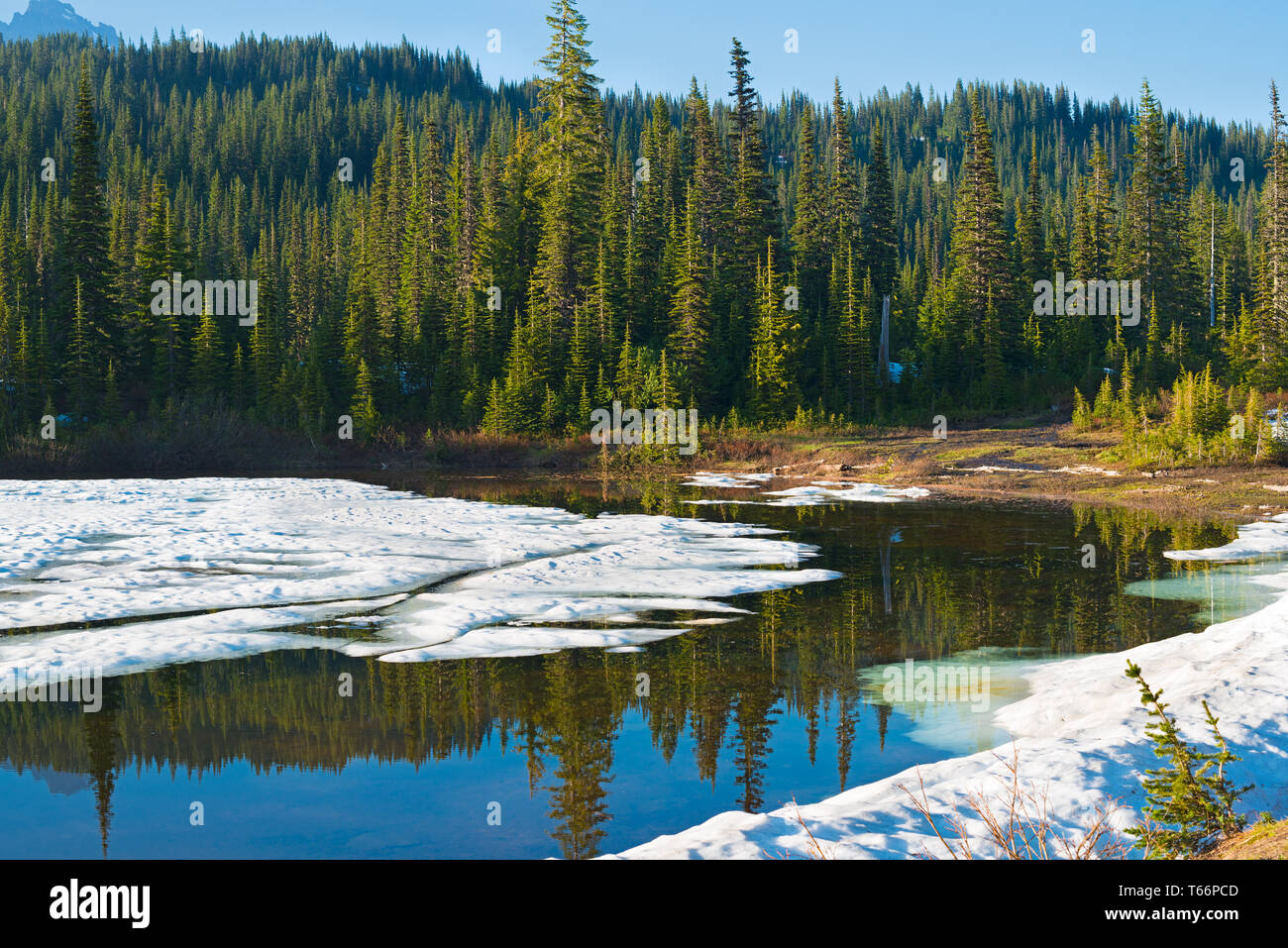 Reflection lake mount rainier hi-res stock photography and images - Alamy