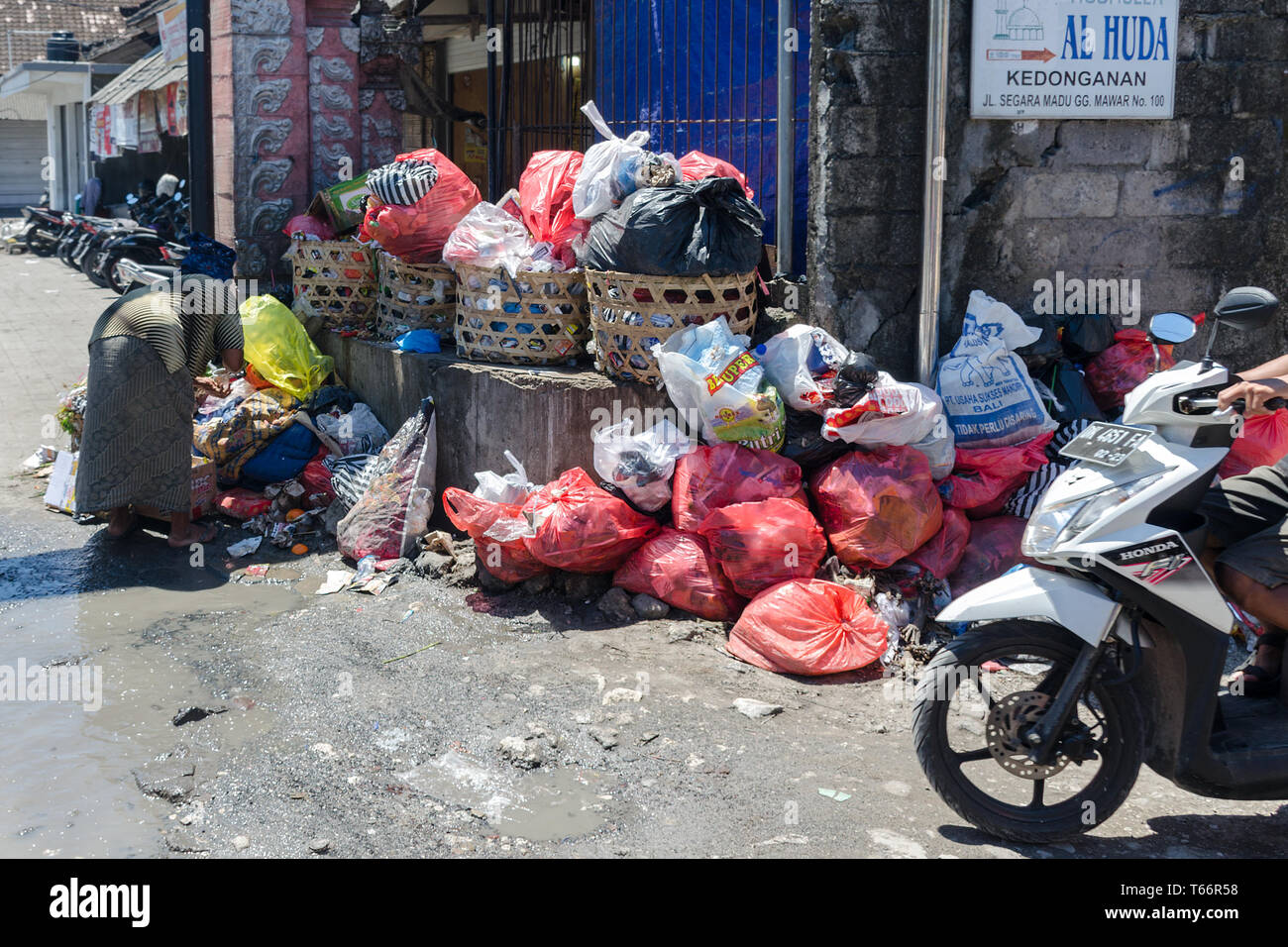 Scavenger garbage hi-res stock photography and images - Alamy