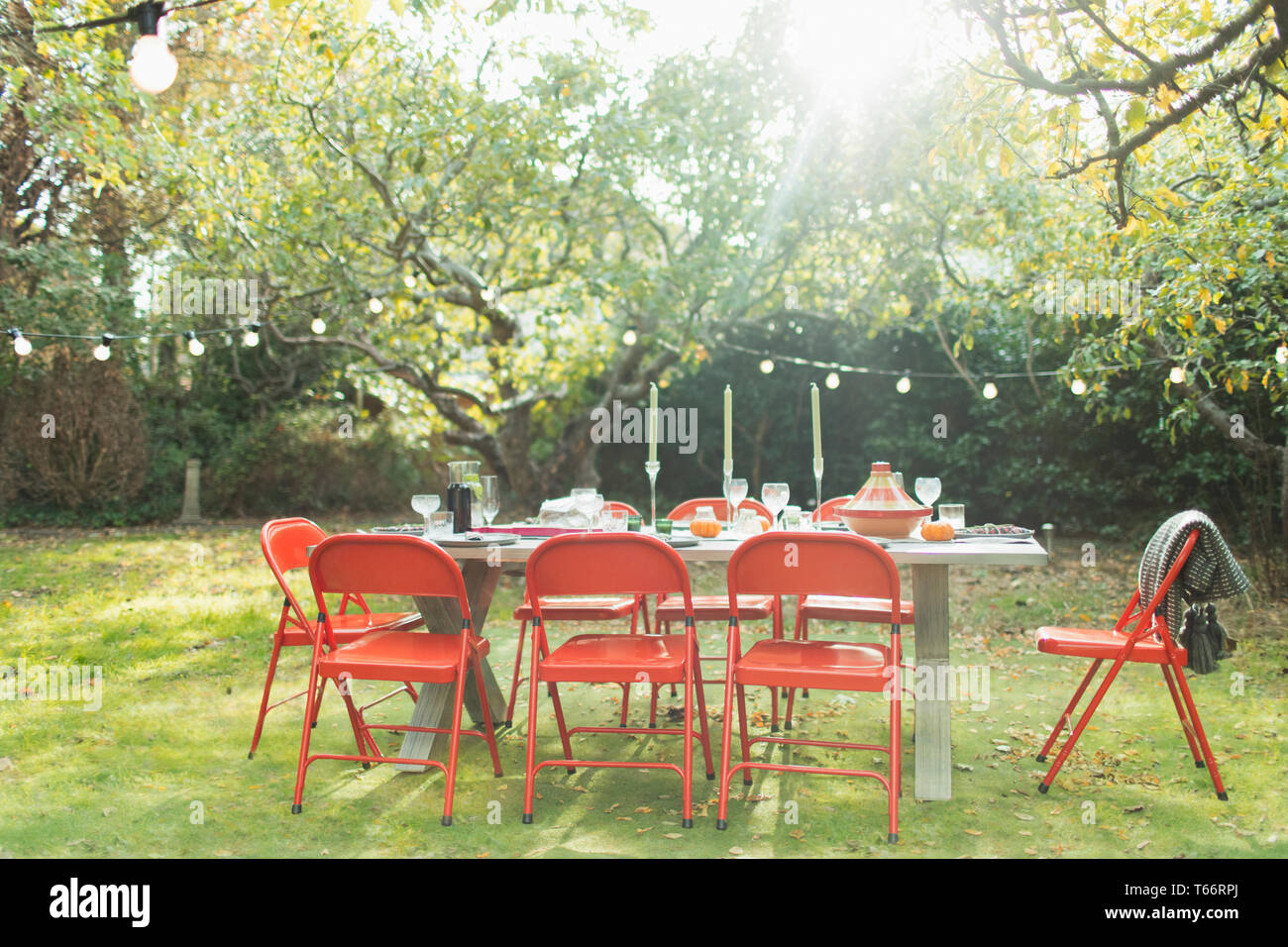 Garden party table and string lights in sunny backyard Stock Photo - Alamy