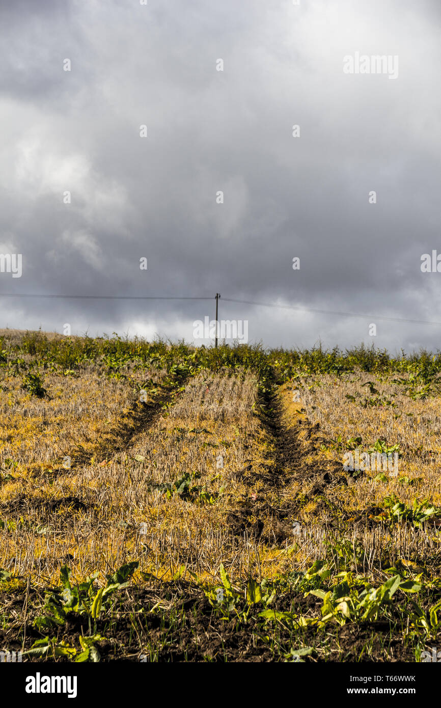 Crop marks hi-res stock photography and images - Alamy