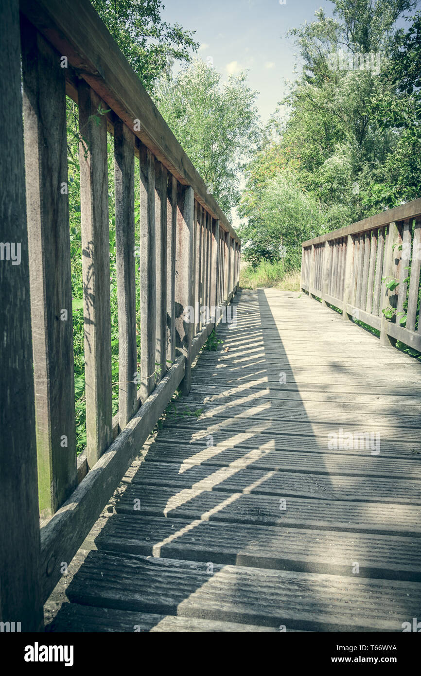 simple wood bridge leading into a forest Stock Photo - Alamy