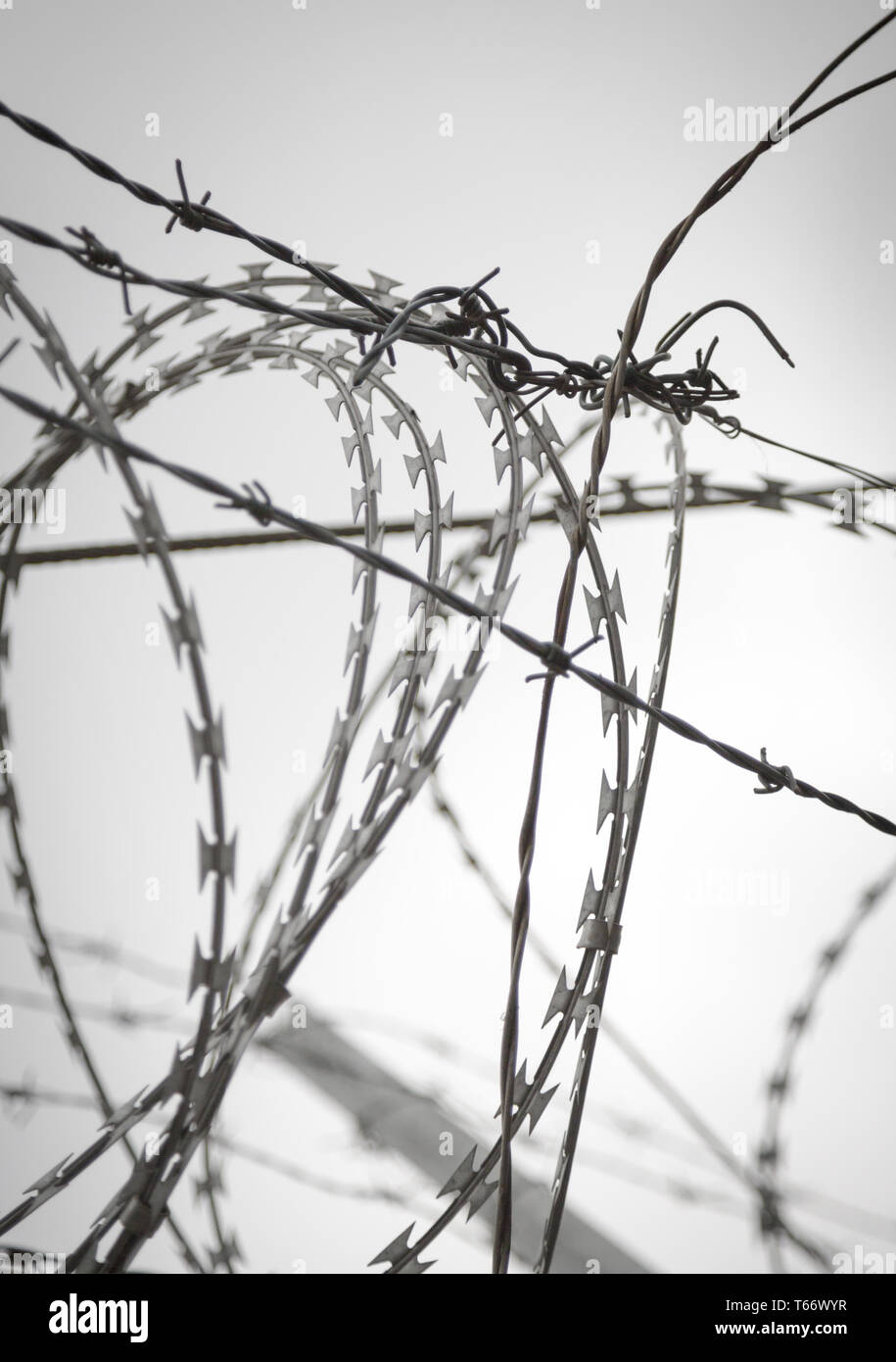 barb wire shoot against a gray sad sky Stock Photo - Alamy