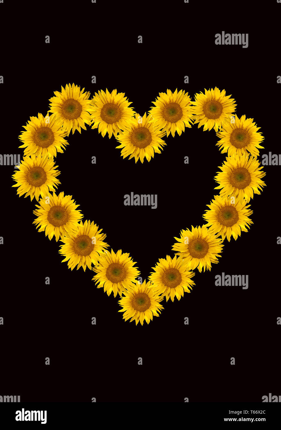 Heart flowers plants hi-res stock photography and images - Alamy