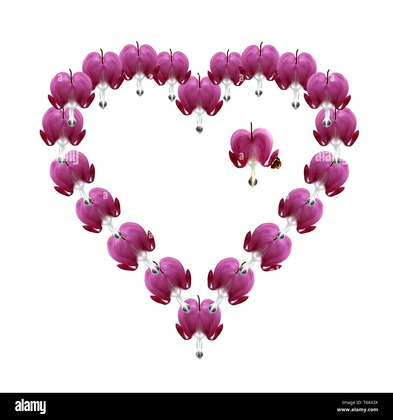 a heart of flowers Stock Photo - Alamy