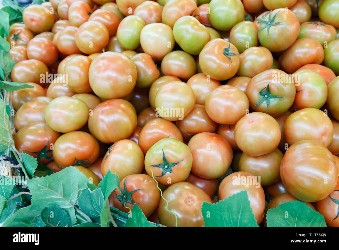 Tomatoes on display hi-res stock photography and images - Alamy