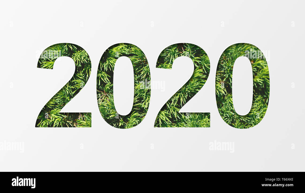 2020 year number with green tree texture on white background Stock ...