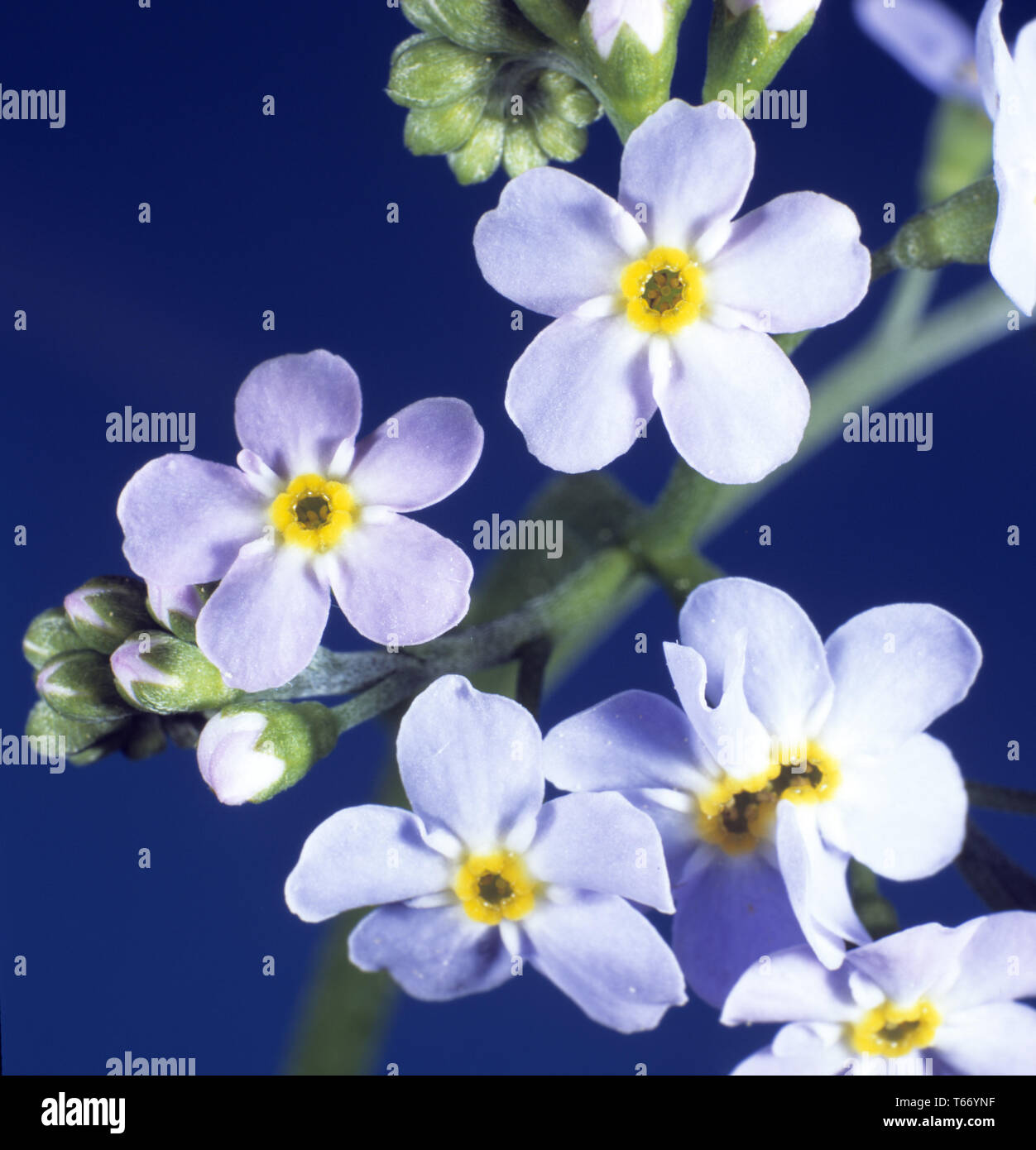 Forget the banks hi-res stock photography and images - Alamy