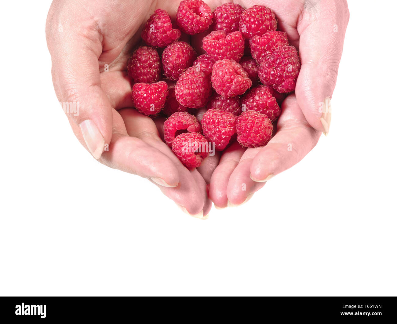 Close up of woman hands holding raspberries top view cut out. Healthy ...