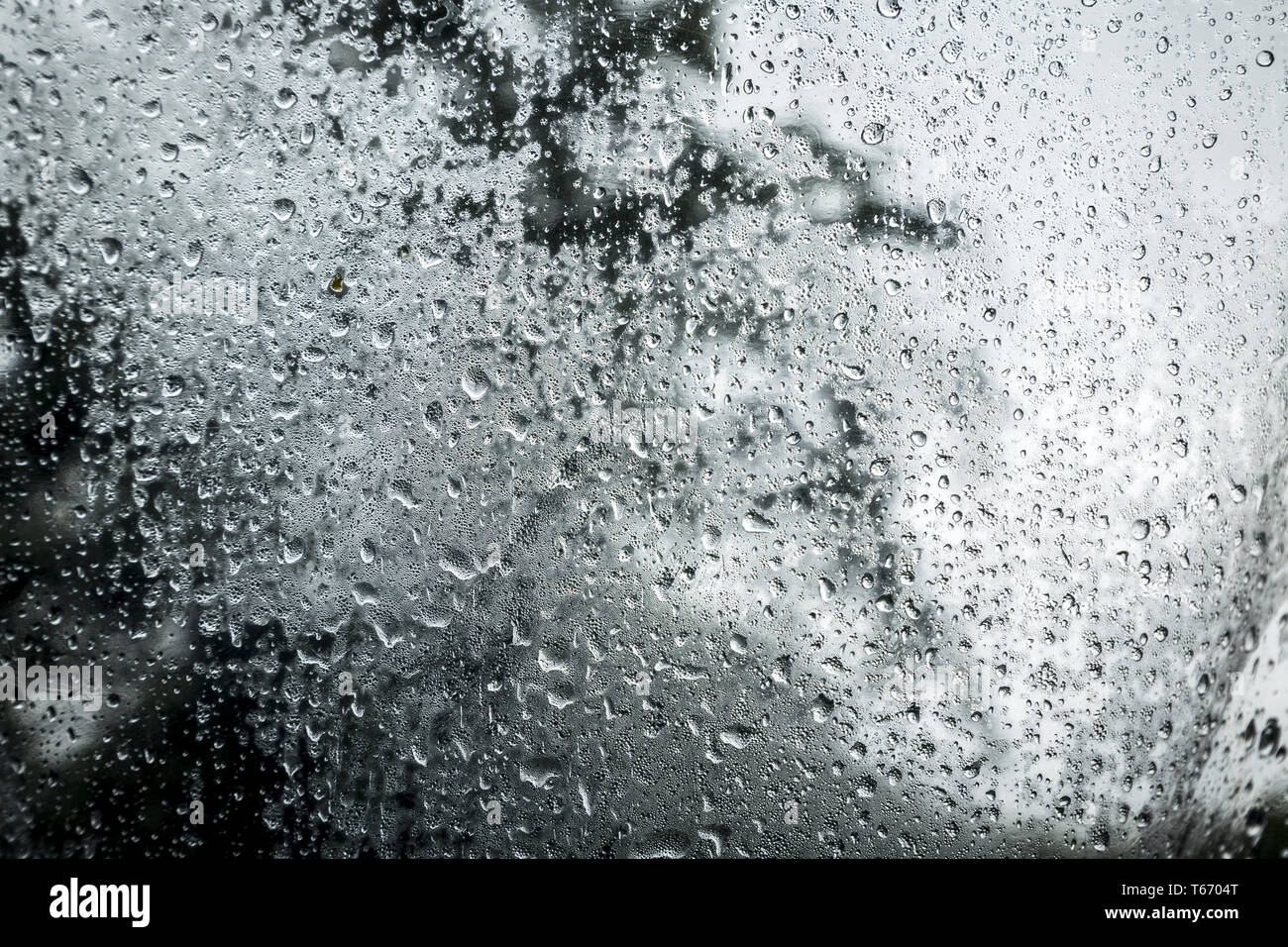 rain drops on a transparent plastics Stock Photo - Alamy