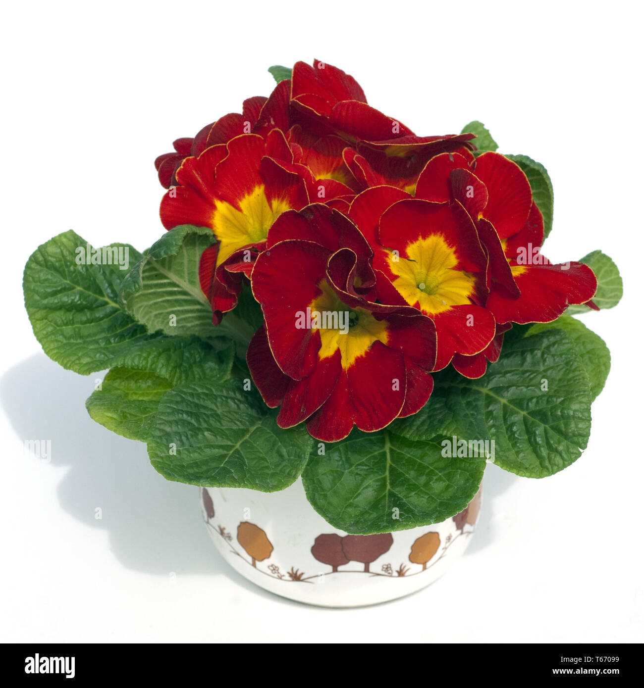 Exempted greenhouse neutral hi-res stock photography and images - Alamy