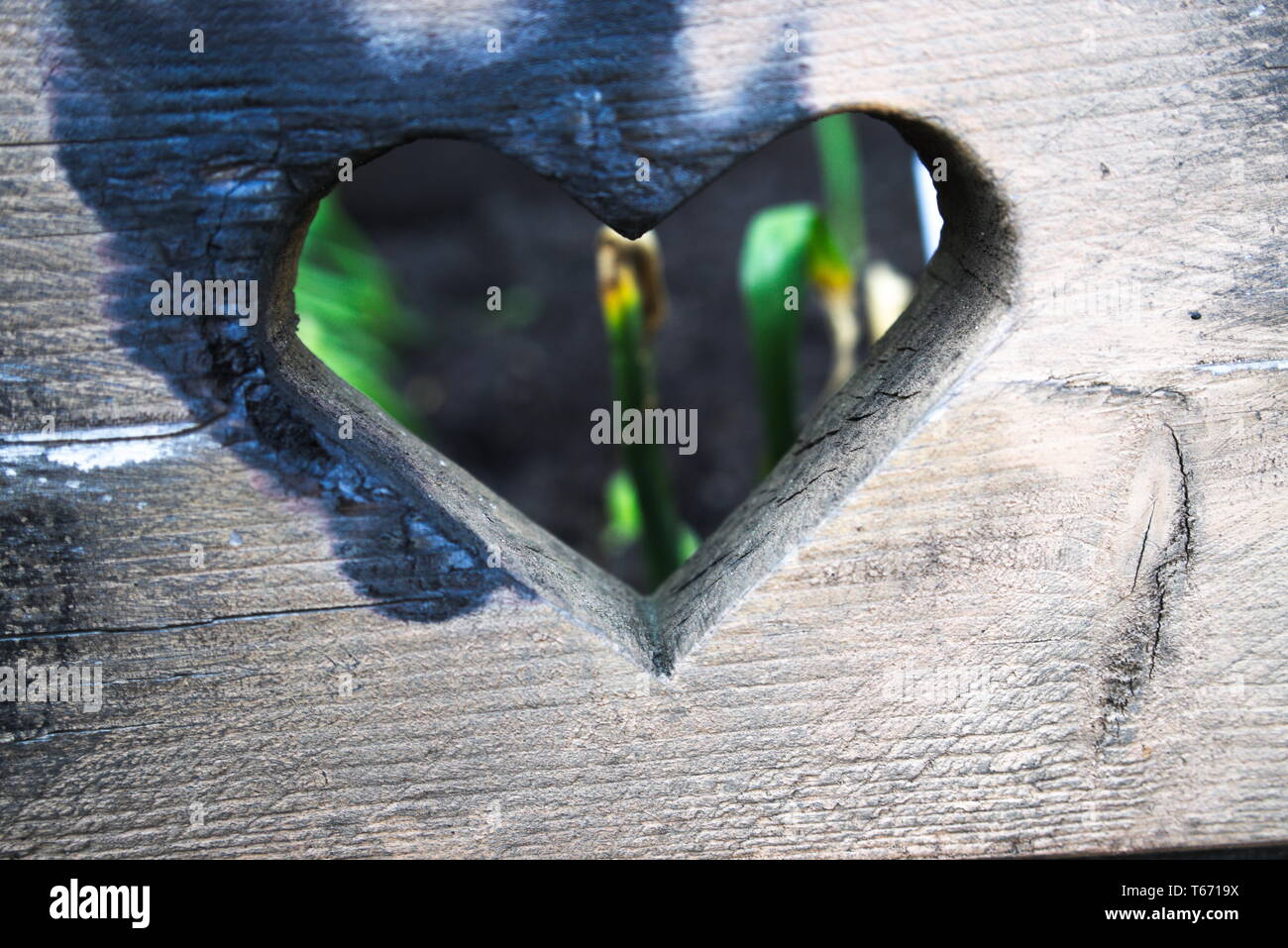 Damage heart hi-res stock photography and images - Alamy