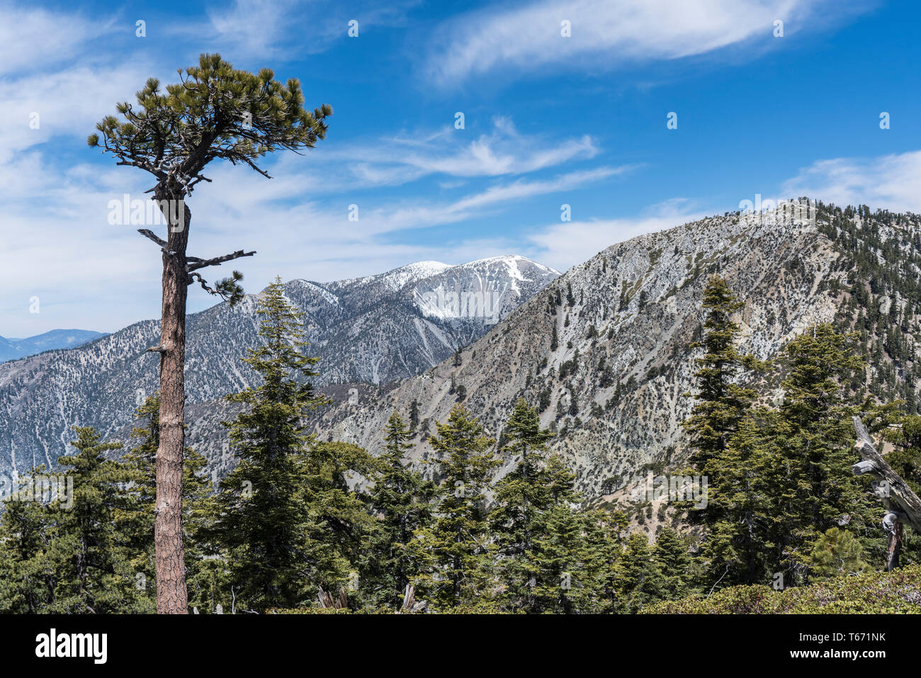 View towards 10068 foot Mt Baldy. The highest peak in San Gabriel ...