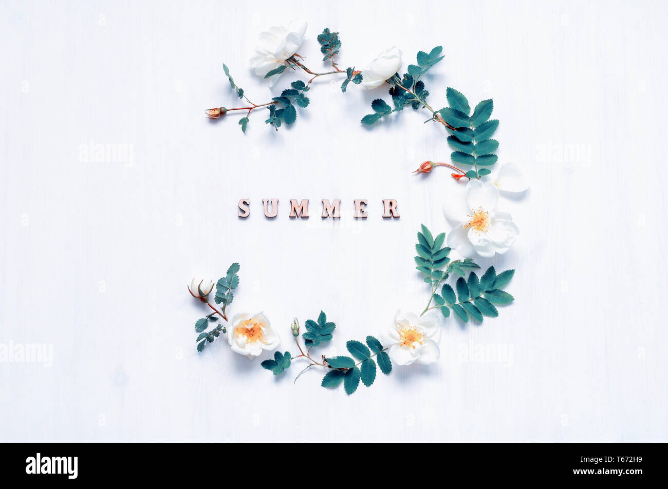 Summer flower background with composition made of white rose flowers ...