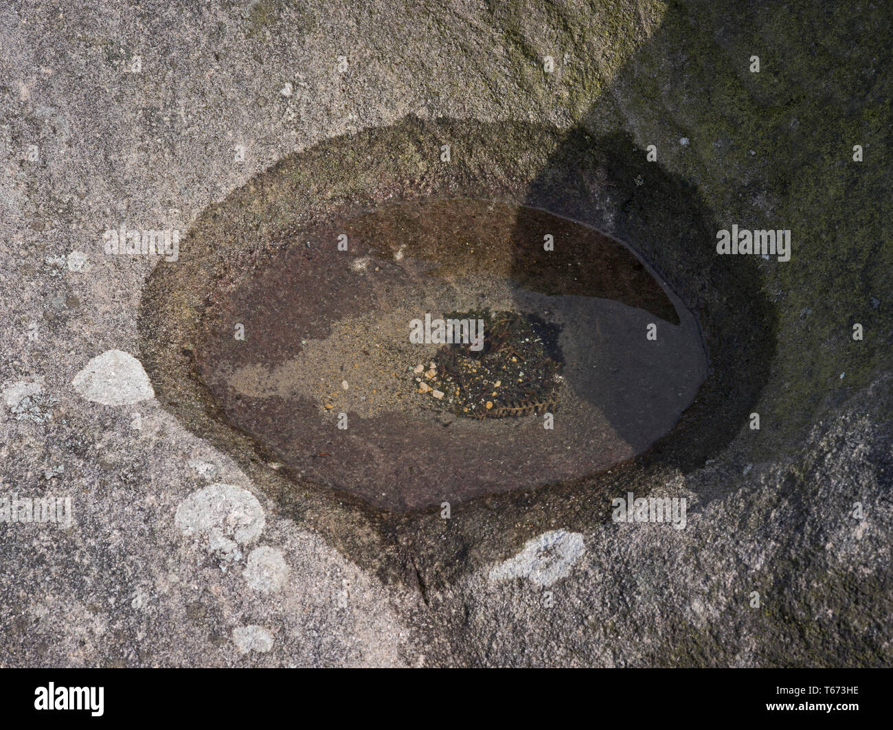 Rain water evaporating from rock pool in millstone grit boulder on ...