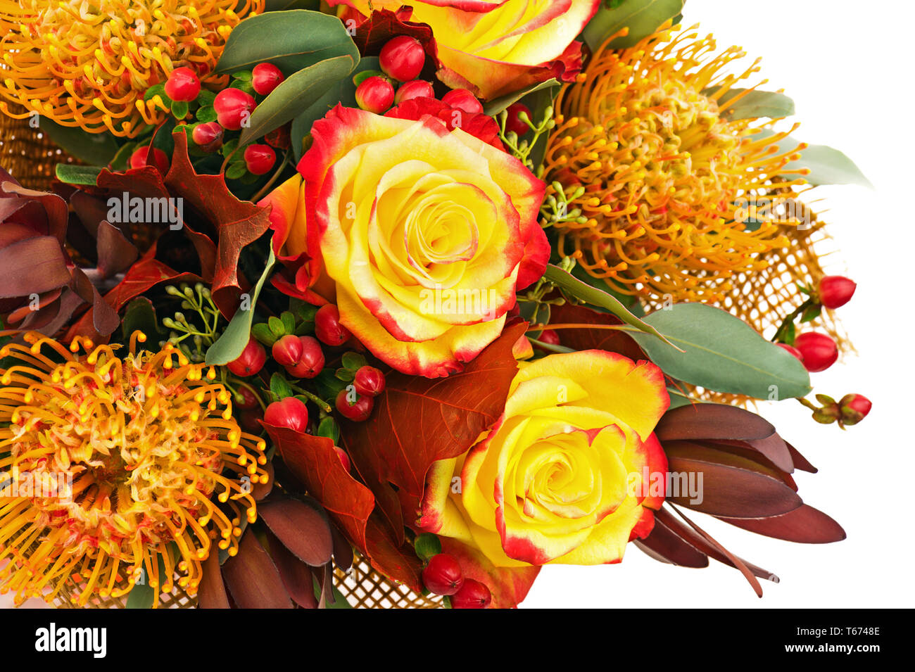 Arabian star flower hi-res stock photography and images - Alamy