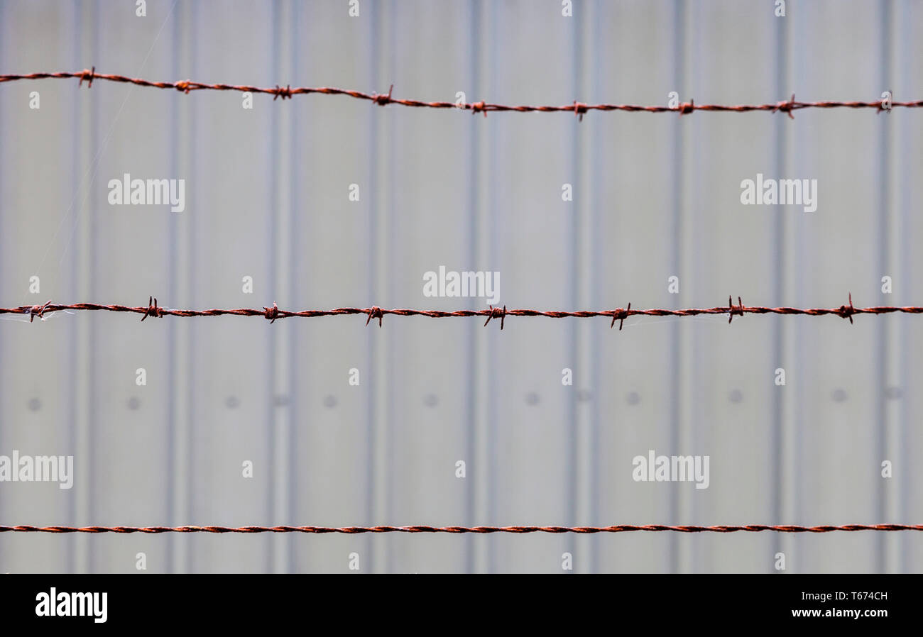 Wire barbs hi-res stock photography and images - Alamy