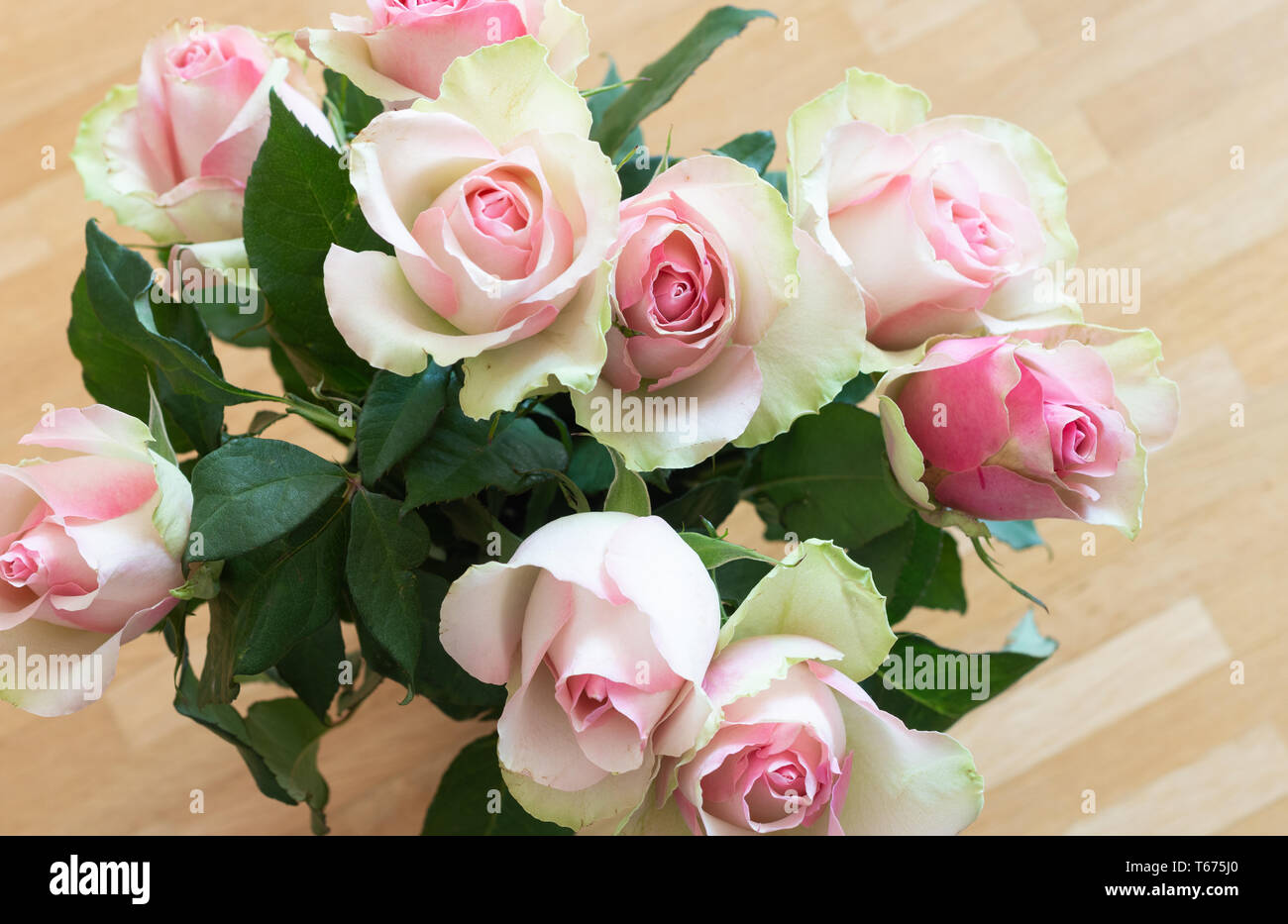 Beautiful bouquet of pink roses with green tipped petals Stock Photo ...