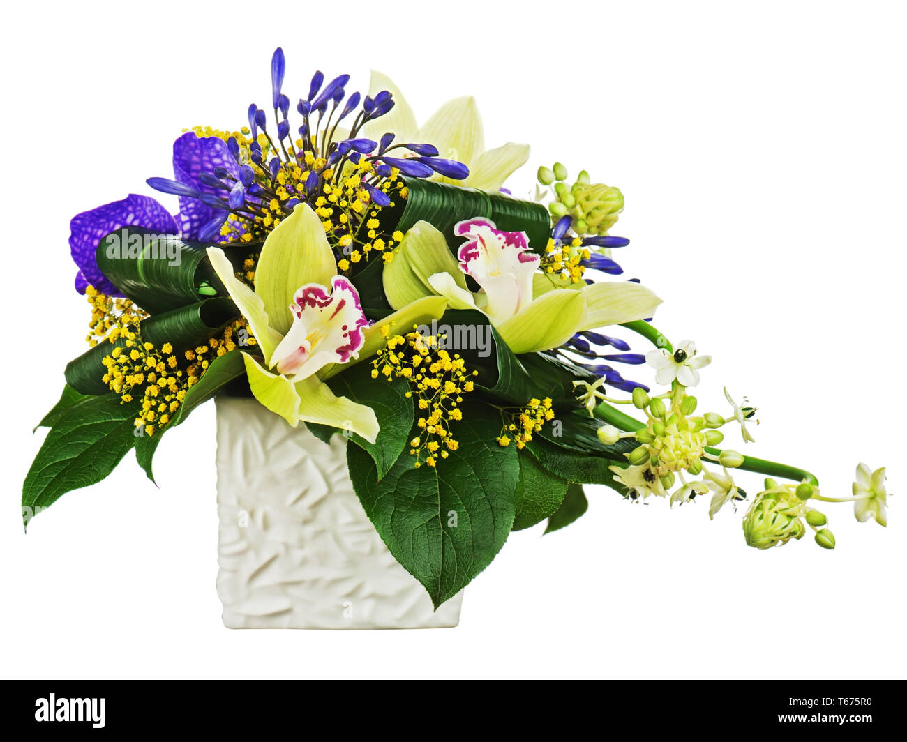 Bouquet from orchids and Arabian Star flower (Orni Stock Photo - Alamy