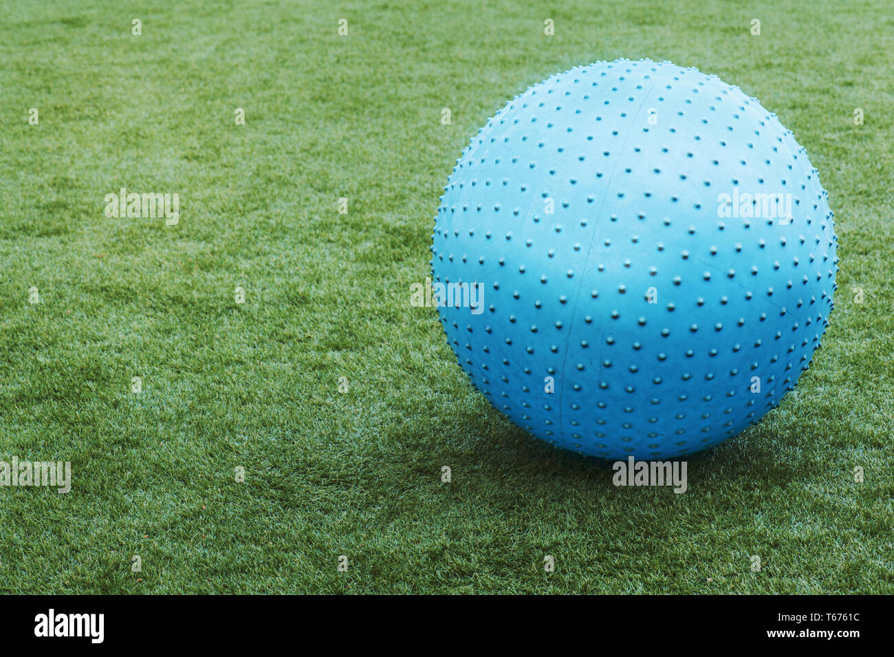Blue ball on green grass Stock Photo - Alamy