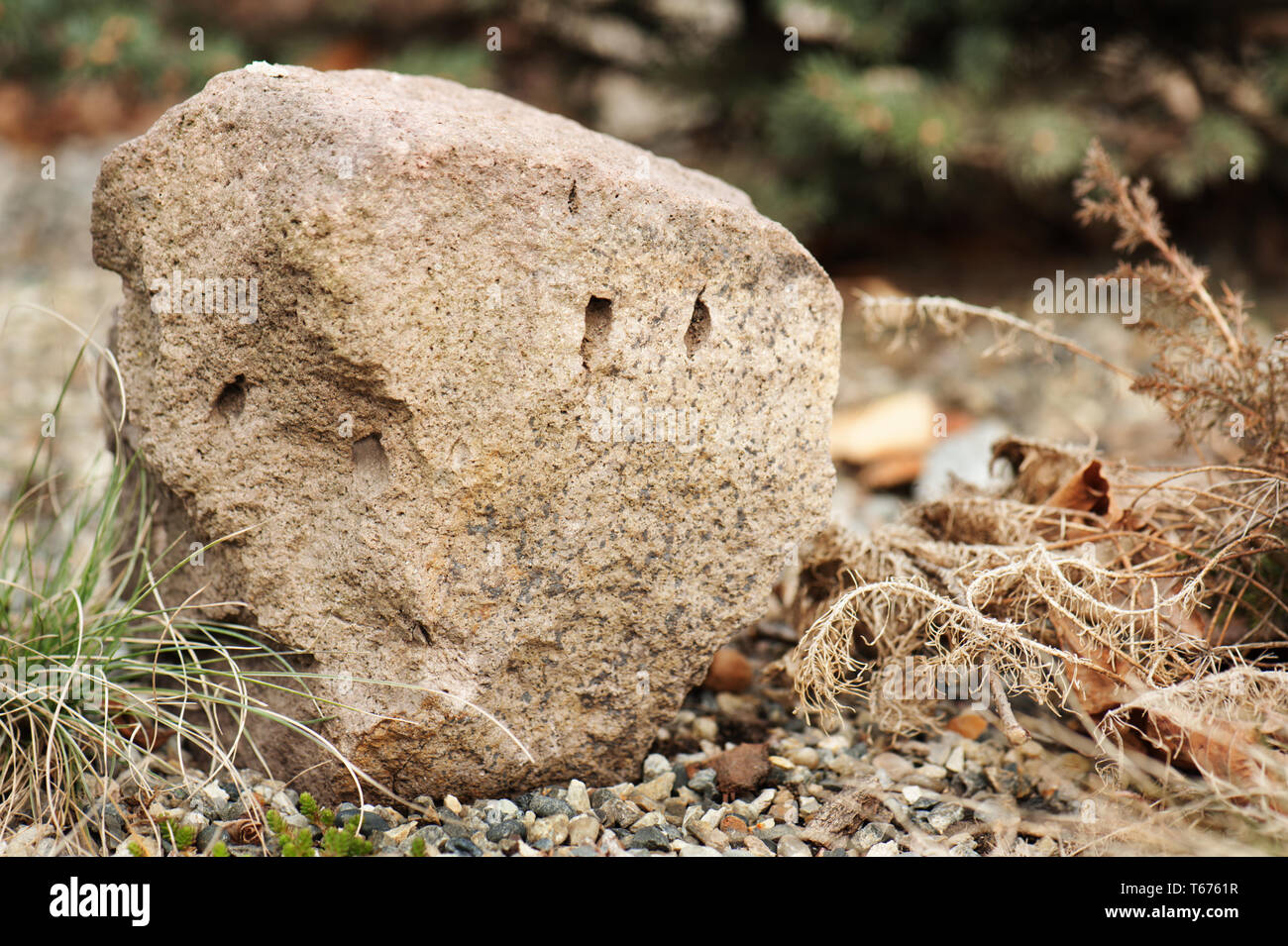 Beautiful granite texture hi-res stock photography and images - Alamy