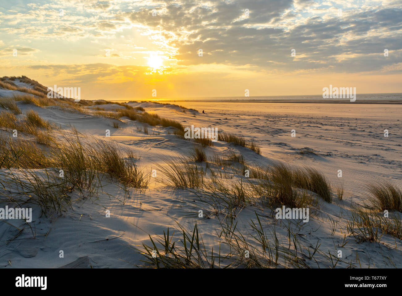 North Sea island Juist, East Frisia, Beach, Dunes landscape, sunset ...
