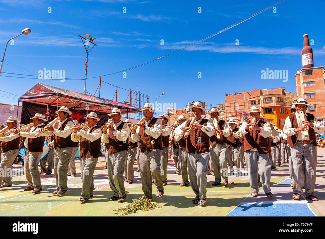 Anata andina hi-res stock photography and images - Alamy