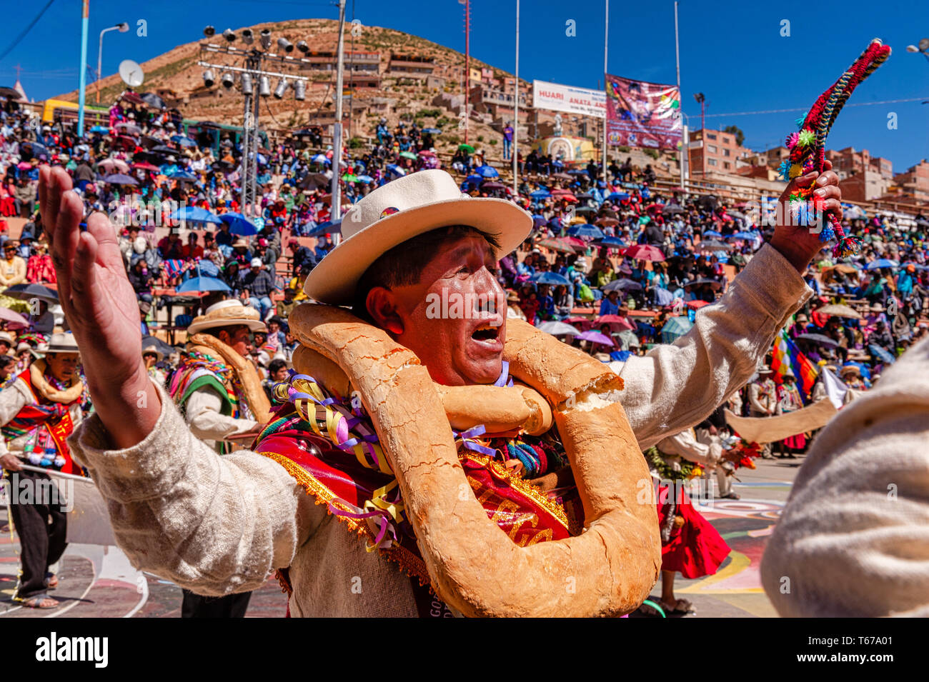 Anata andina hi-res stock photography and images - Alamy