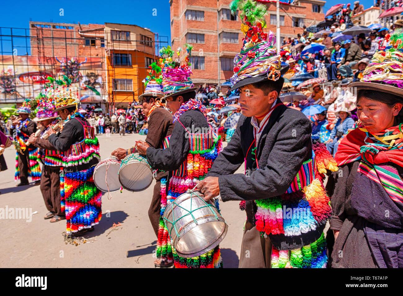 Anata andina hi-res stock photography and images - Alamy