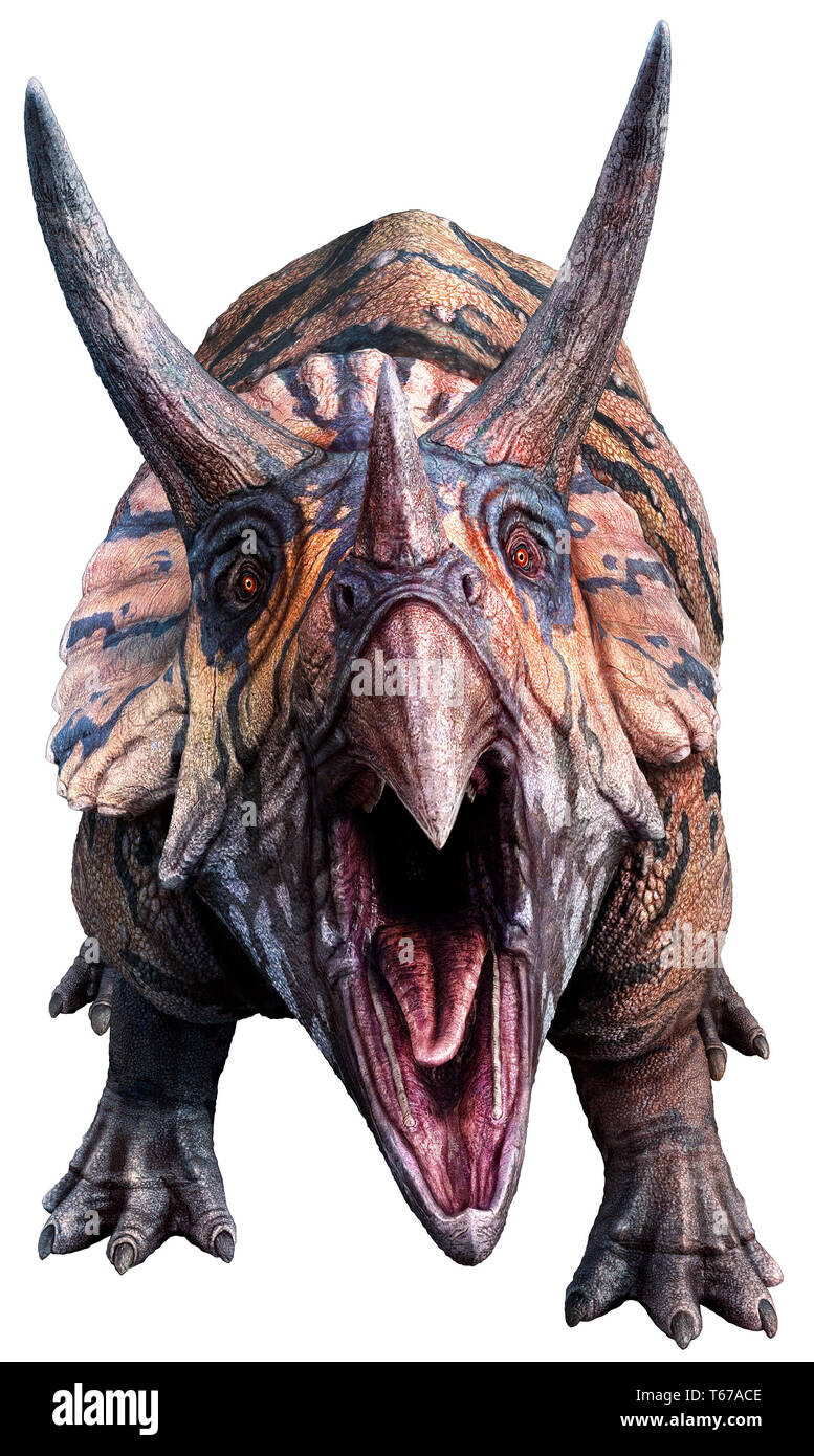 Triceratops illustration hi-res stock photography and images - Alamy