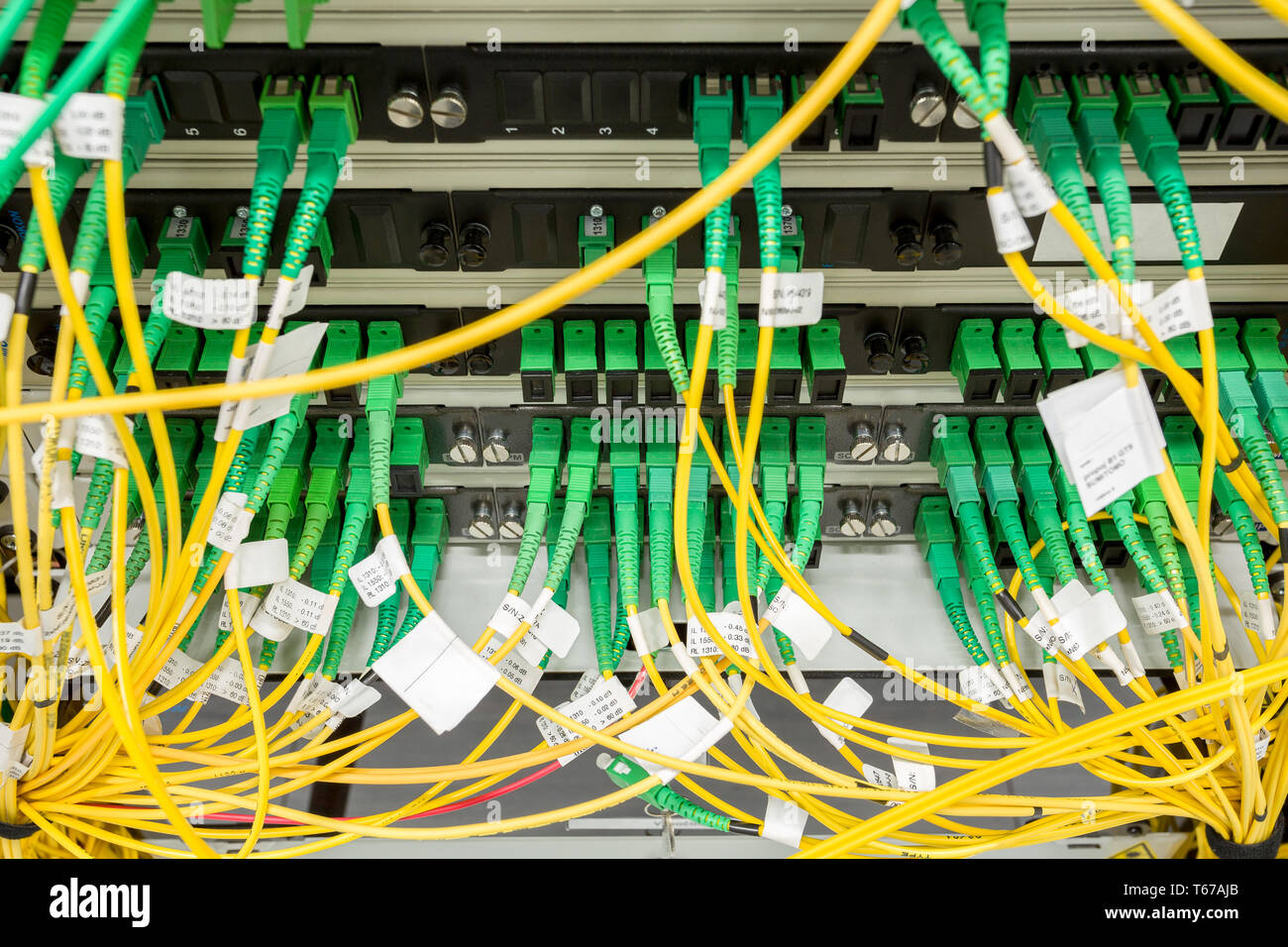 fiber optic datacenter with media converters and optical cables Stock ...
