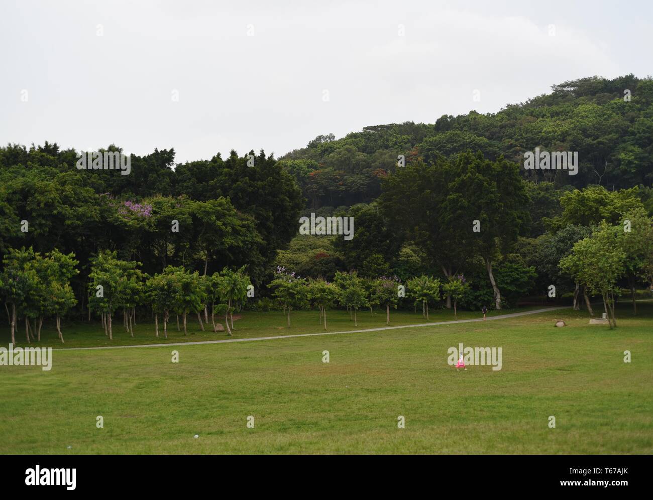 Lianhuashan park hi-res stock photography and images - Alamy
