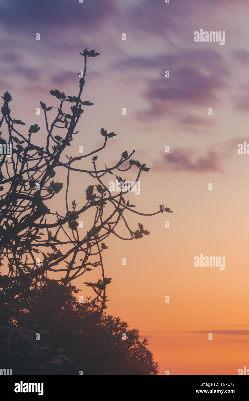 Long exposure of the sunset with moving clouds and the silhouette of a ...