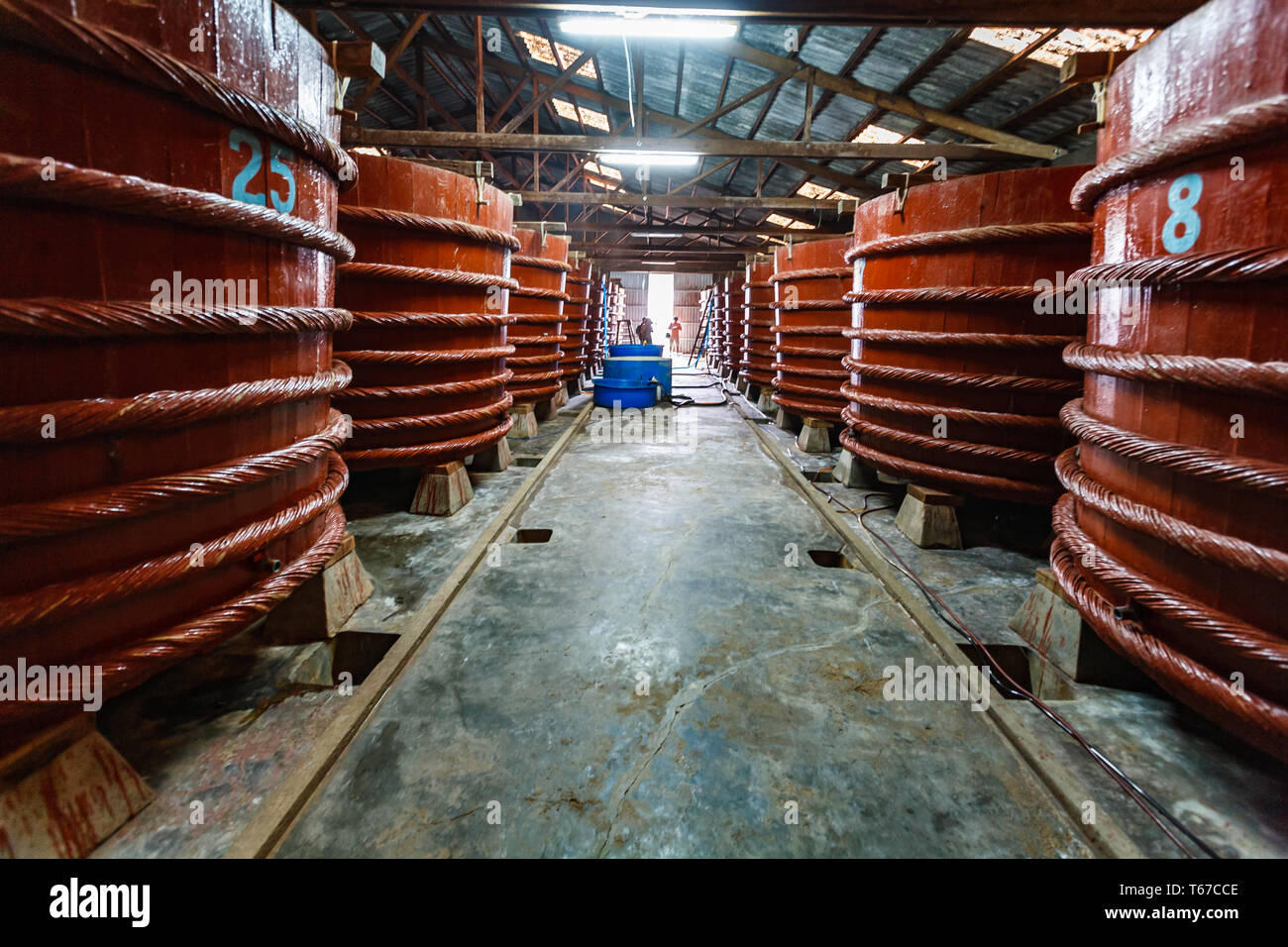 Row of huge wooden vats at a fish sauce factory where fish ferment for ...
