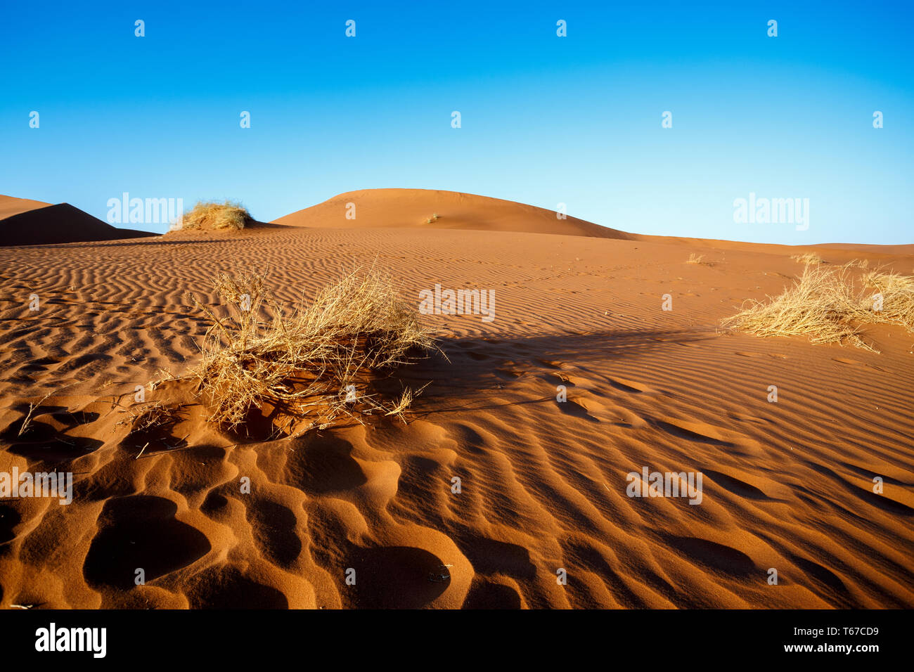 sand dunes at Sossusvlei, Namibia Stock Photo - Alamy