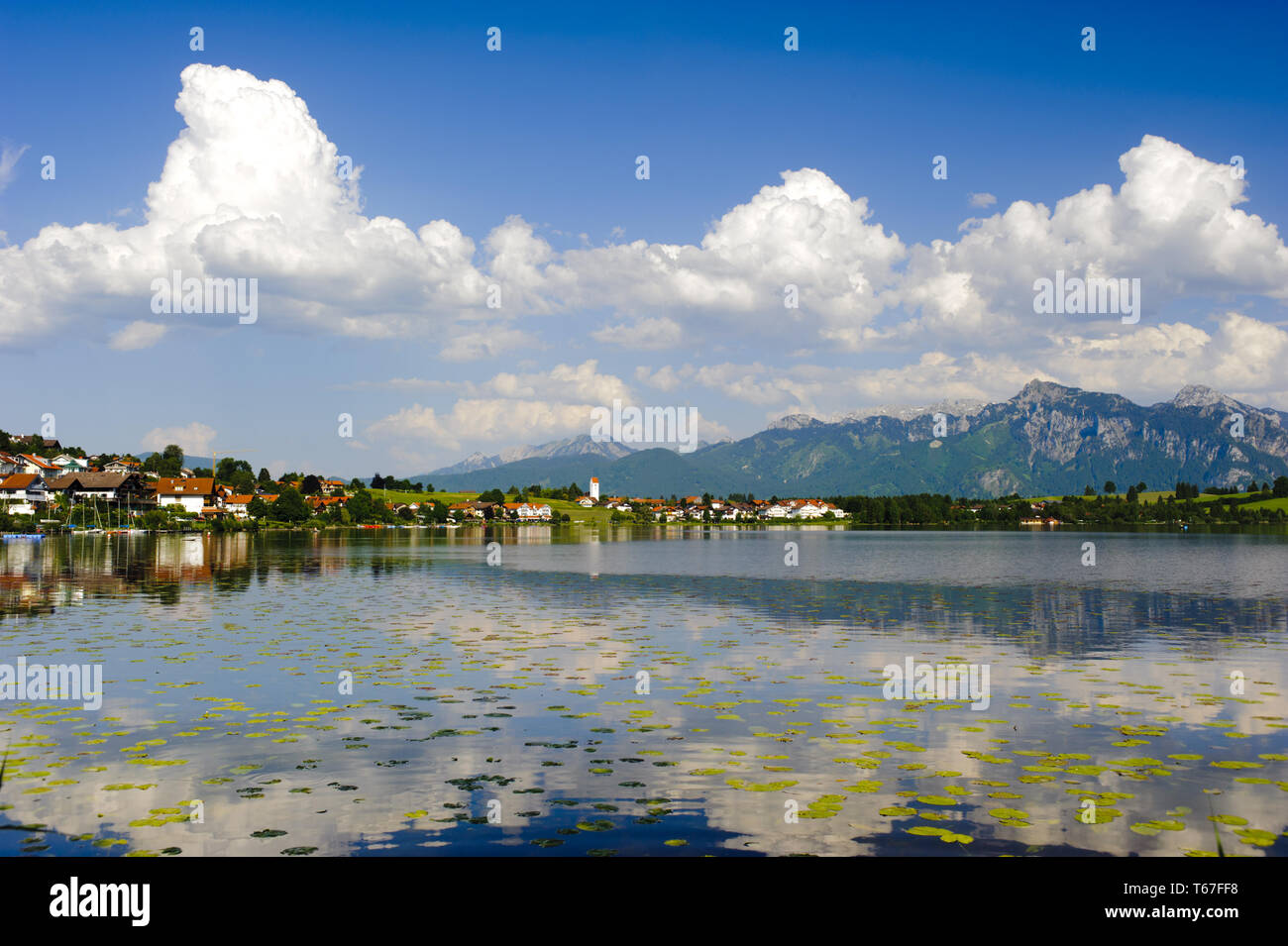 panorama landscape in Bavaria with lake Hopfensee Stock Photo - Alamy