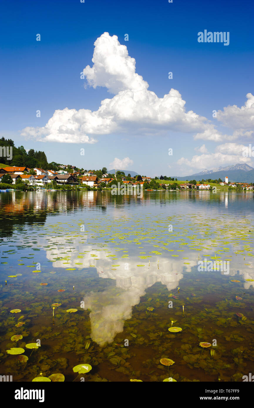 panorama landscape in Bavaria with lake Hopfensee Stock Photo - Alamy