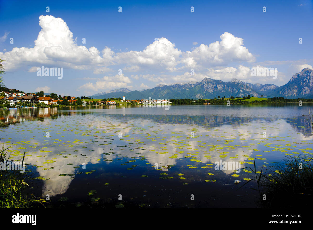 panorama landscape in Bavaria with lake Hopfensee Stock Photo - Alamy