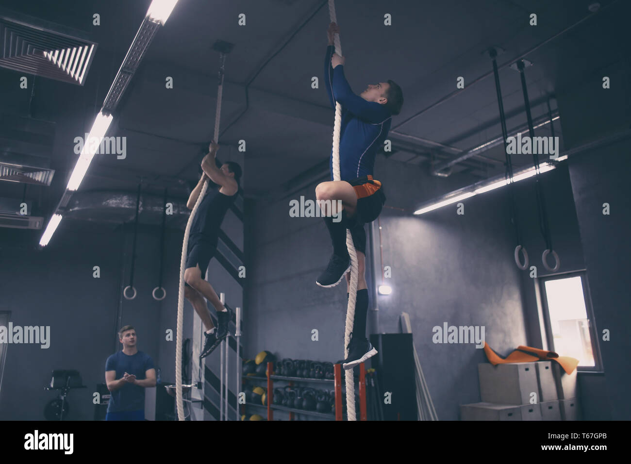 Sporty young men climbing on rope in gym Stock Photo - Alamy