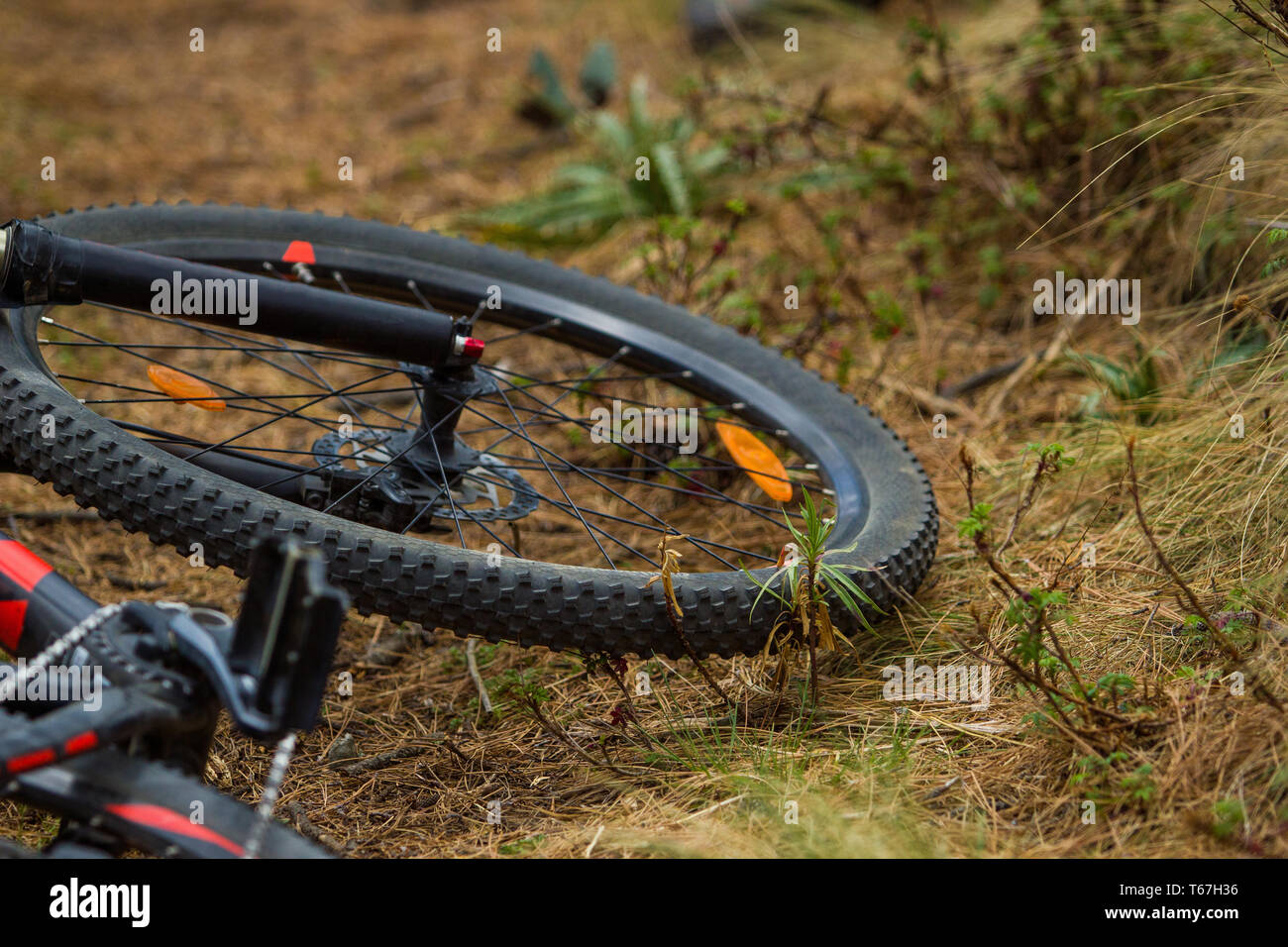Bike laying on the ground hi-res stock photography and images - Alamy