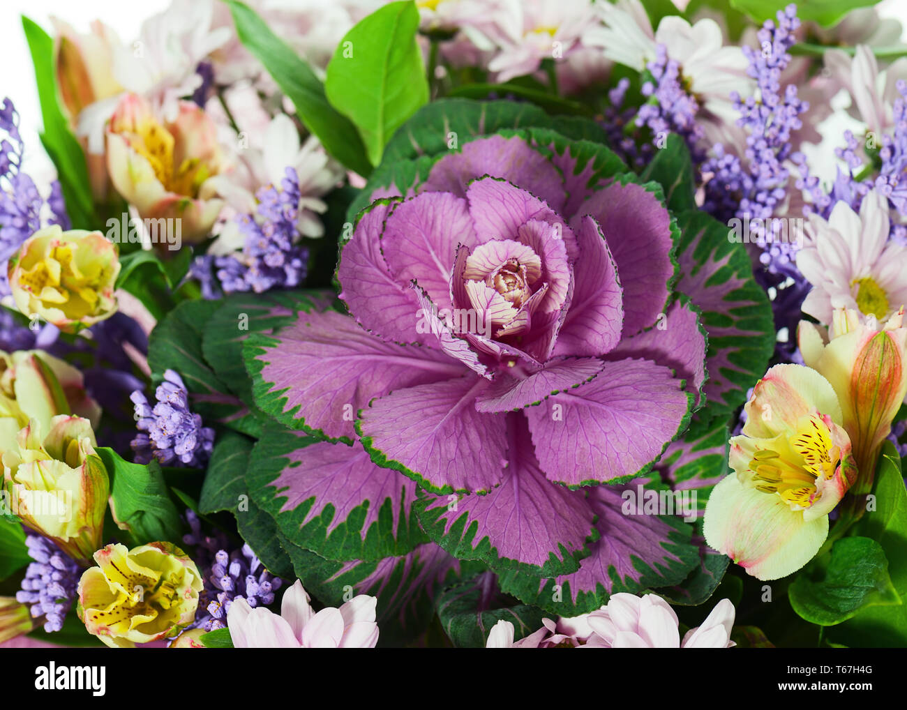 Fragment of Colorful Flower Bouquet Isolated on Wh Stock Photo - Alamy