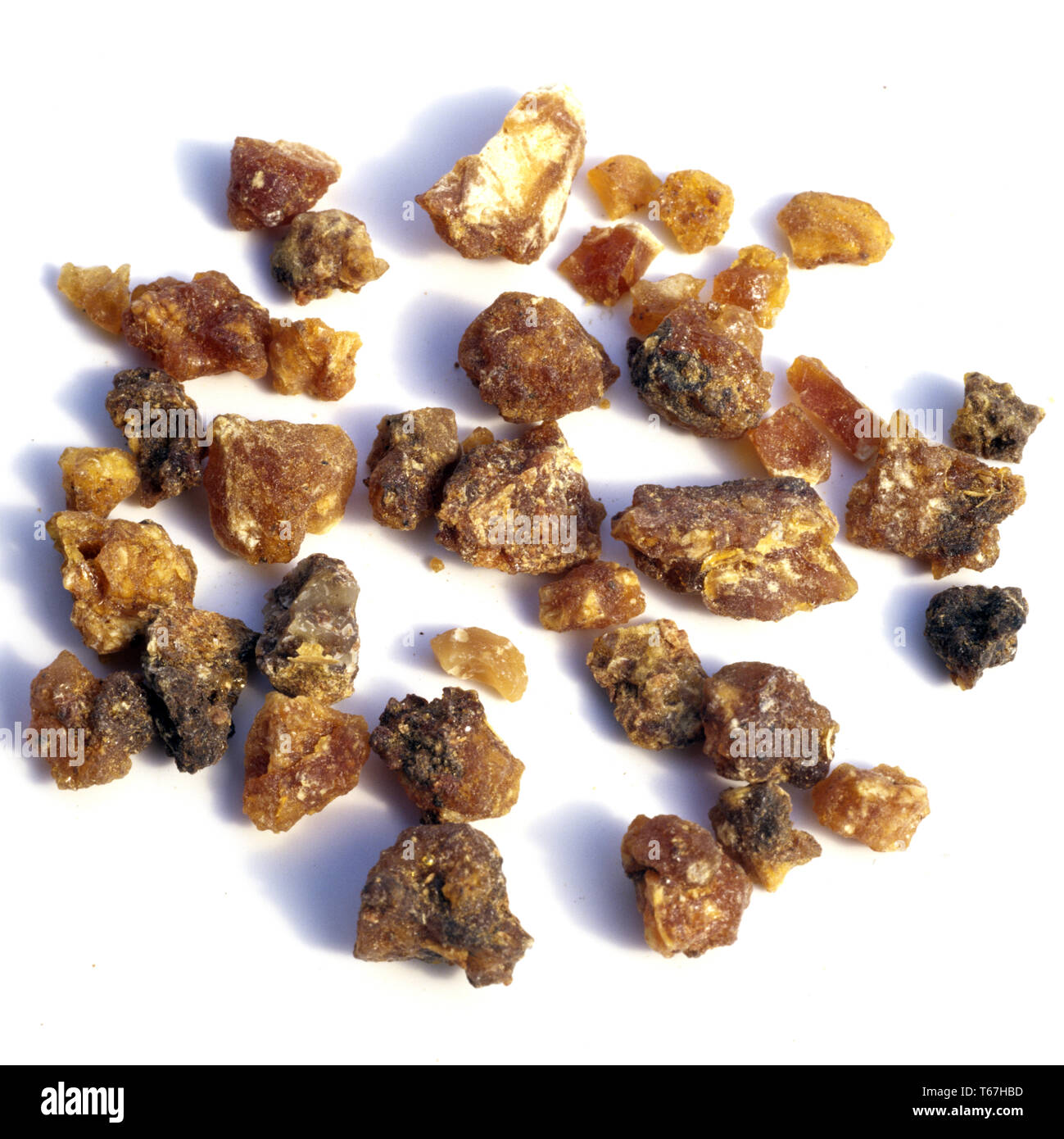 Myrrh plant hi-res stock photography and images - Alamy