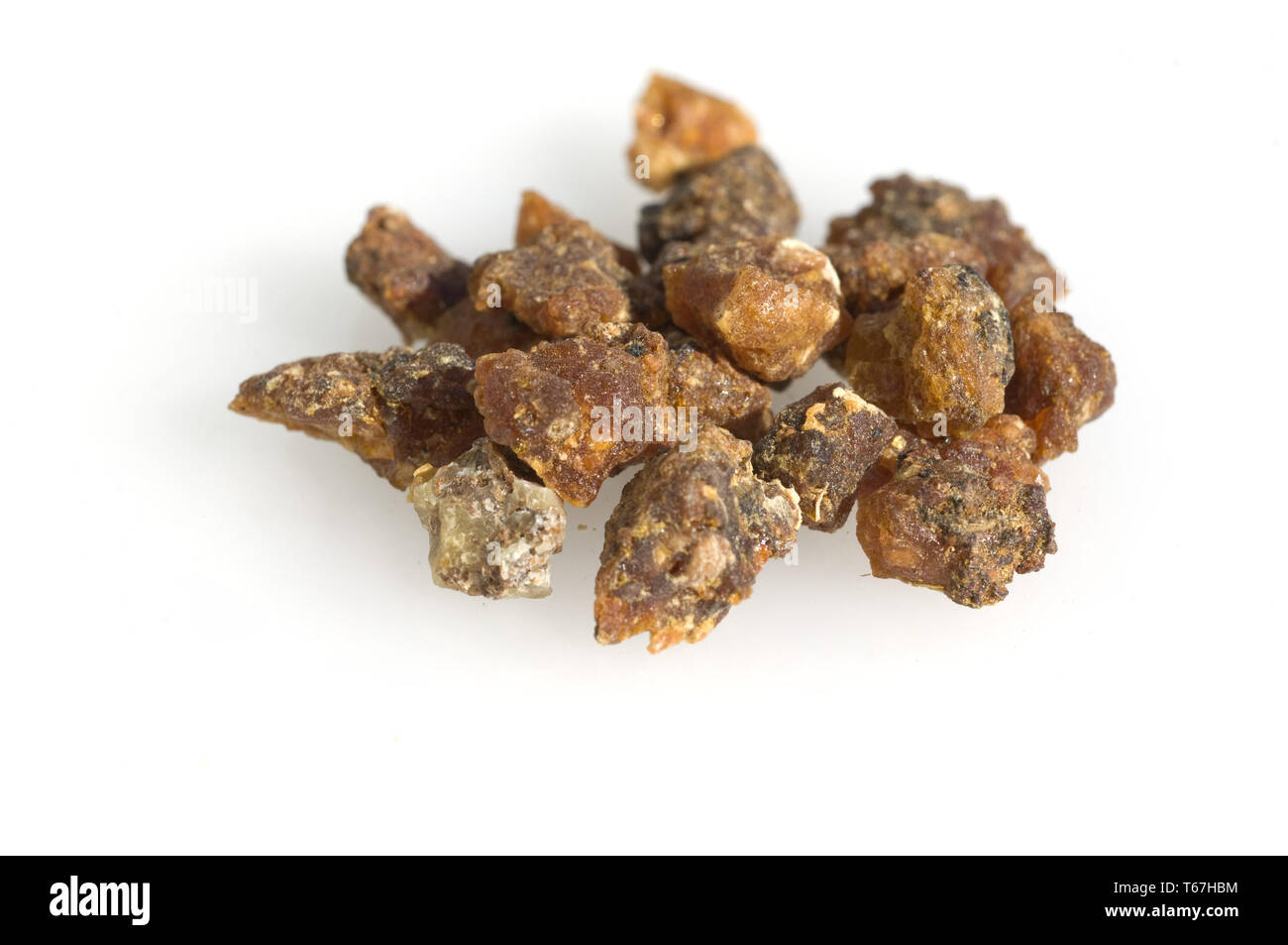 Myrrh plant hi-res stock photography and images - Alamy