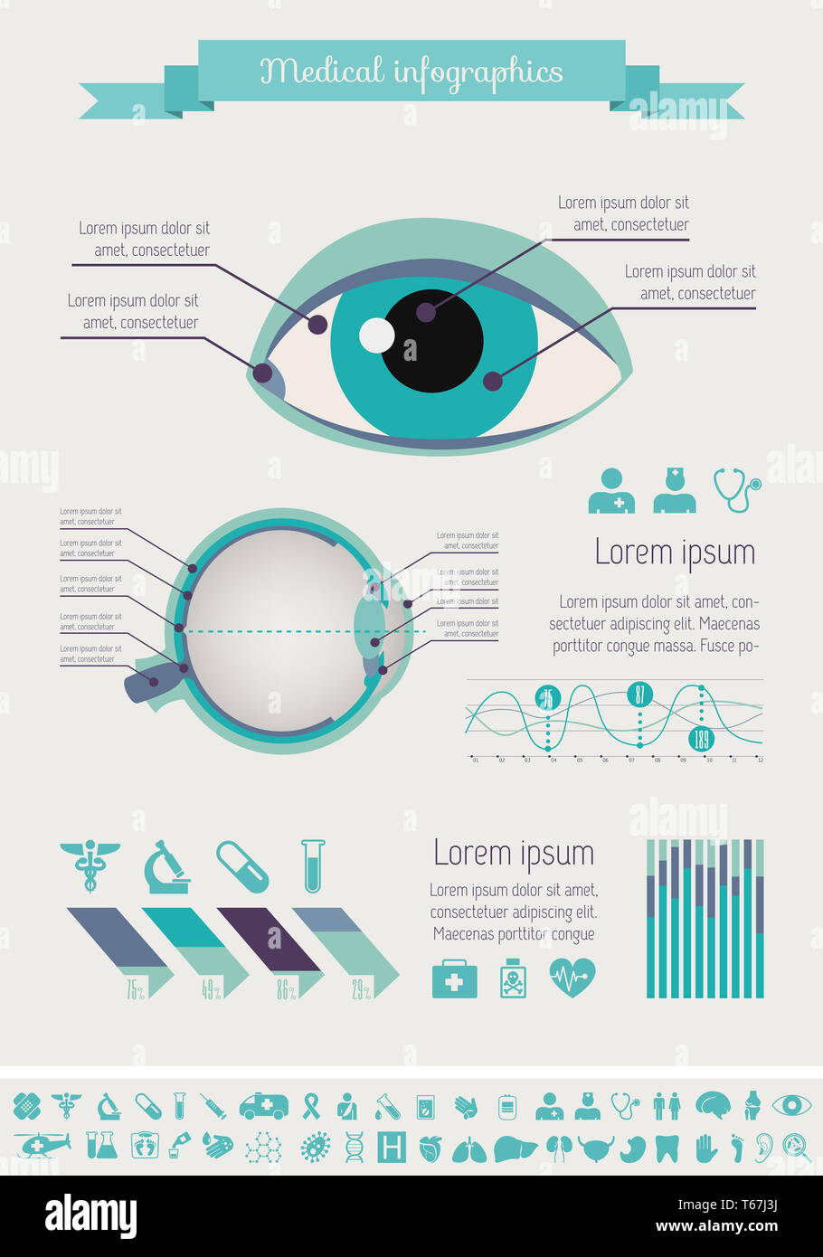 Medical Infographic Template Stock Photo - Alamy