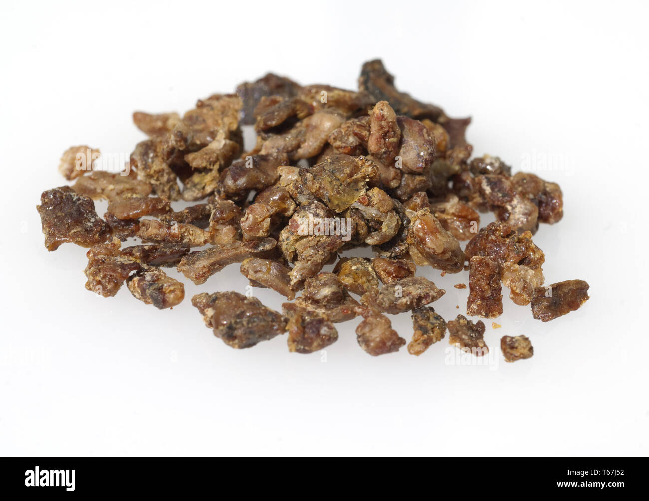 Honey Bee (Apis mellifica), Germany Stock Photo - Alamy