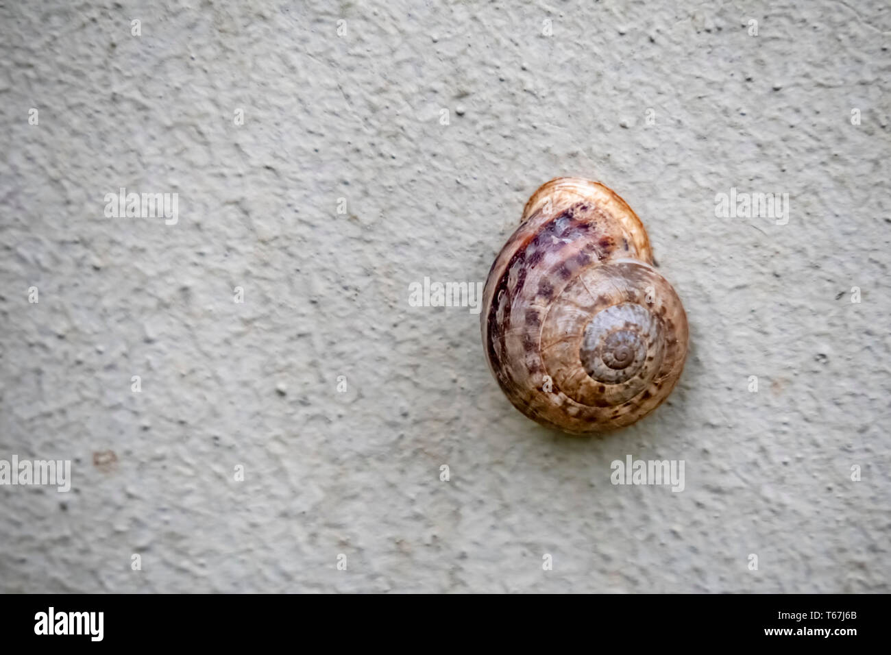 Clamshell rock hi-res stock photography and images - Alamy